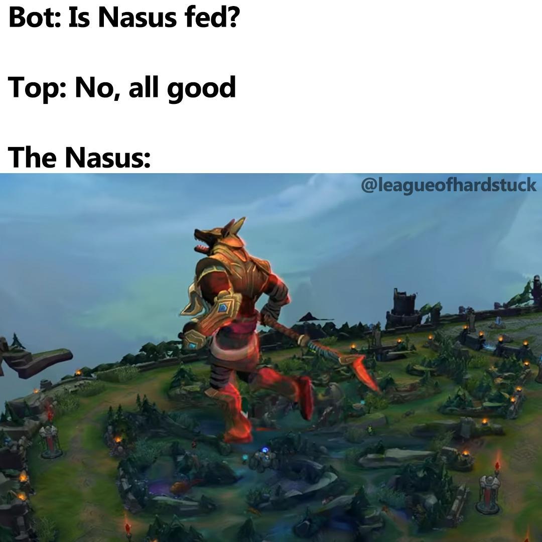 Everything is fine | Scrolller