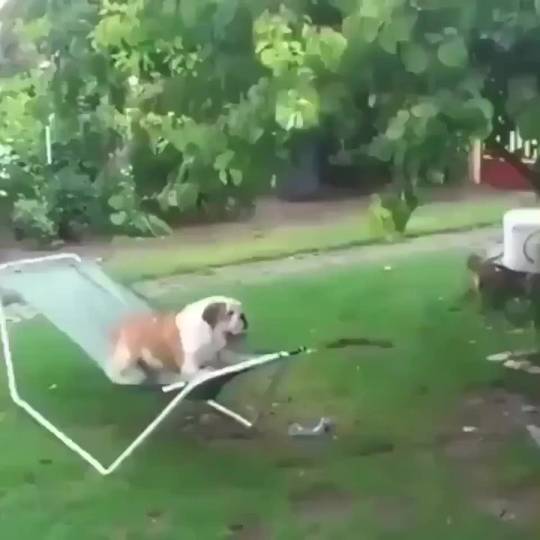 Seesaw fun | Scrolller