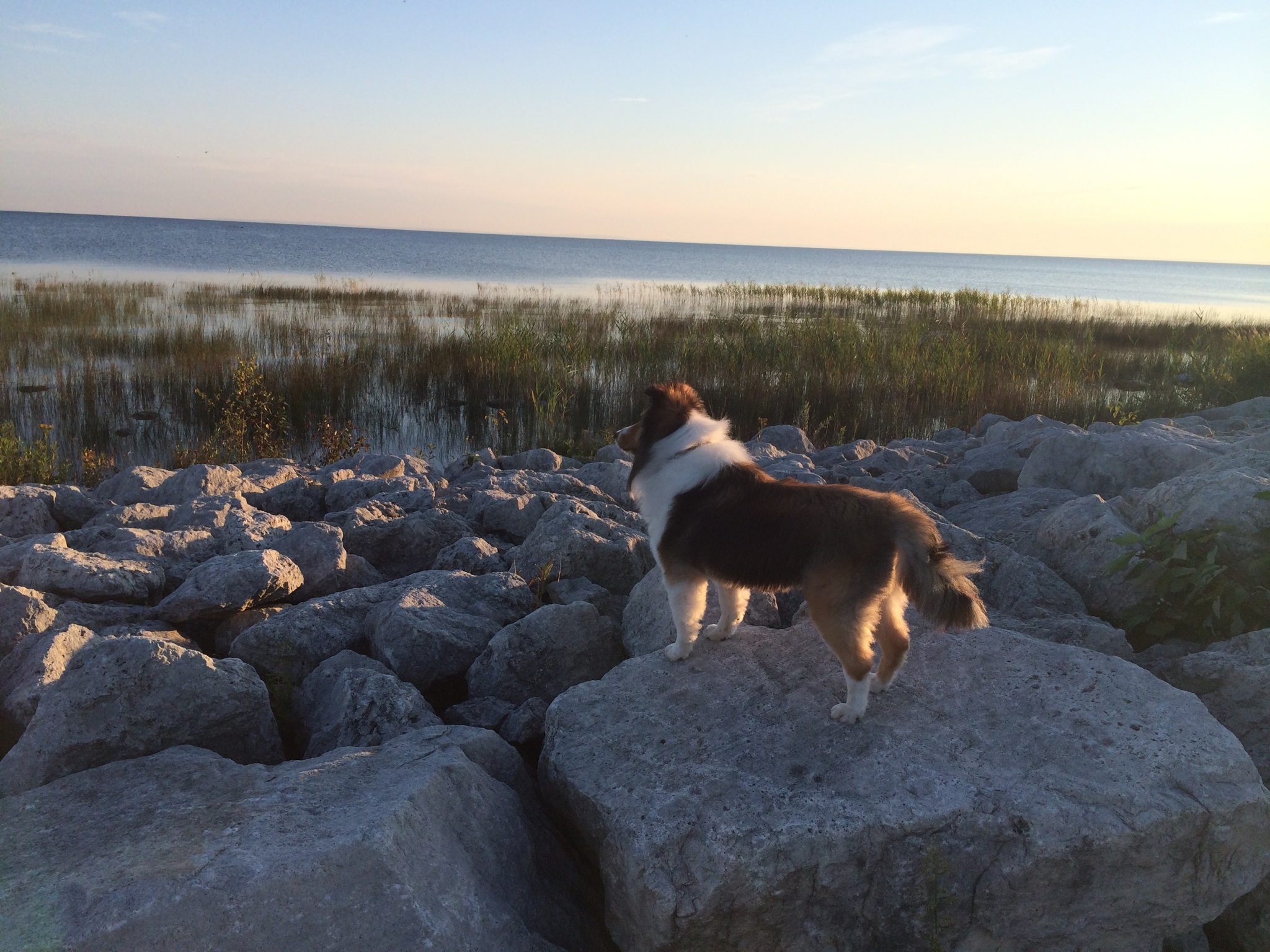 Everything the sun touches belongs to her | Scrolller