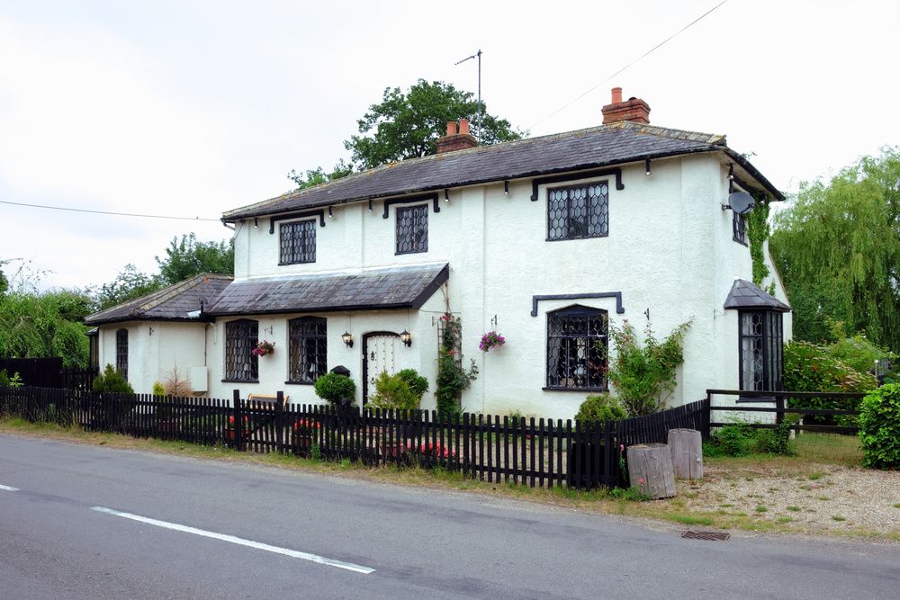 Ex-Pub Photo of the Week: Brampton Dog | Scrolller