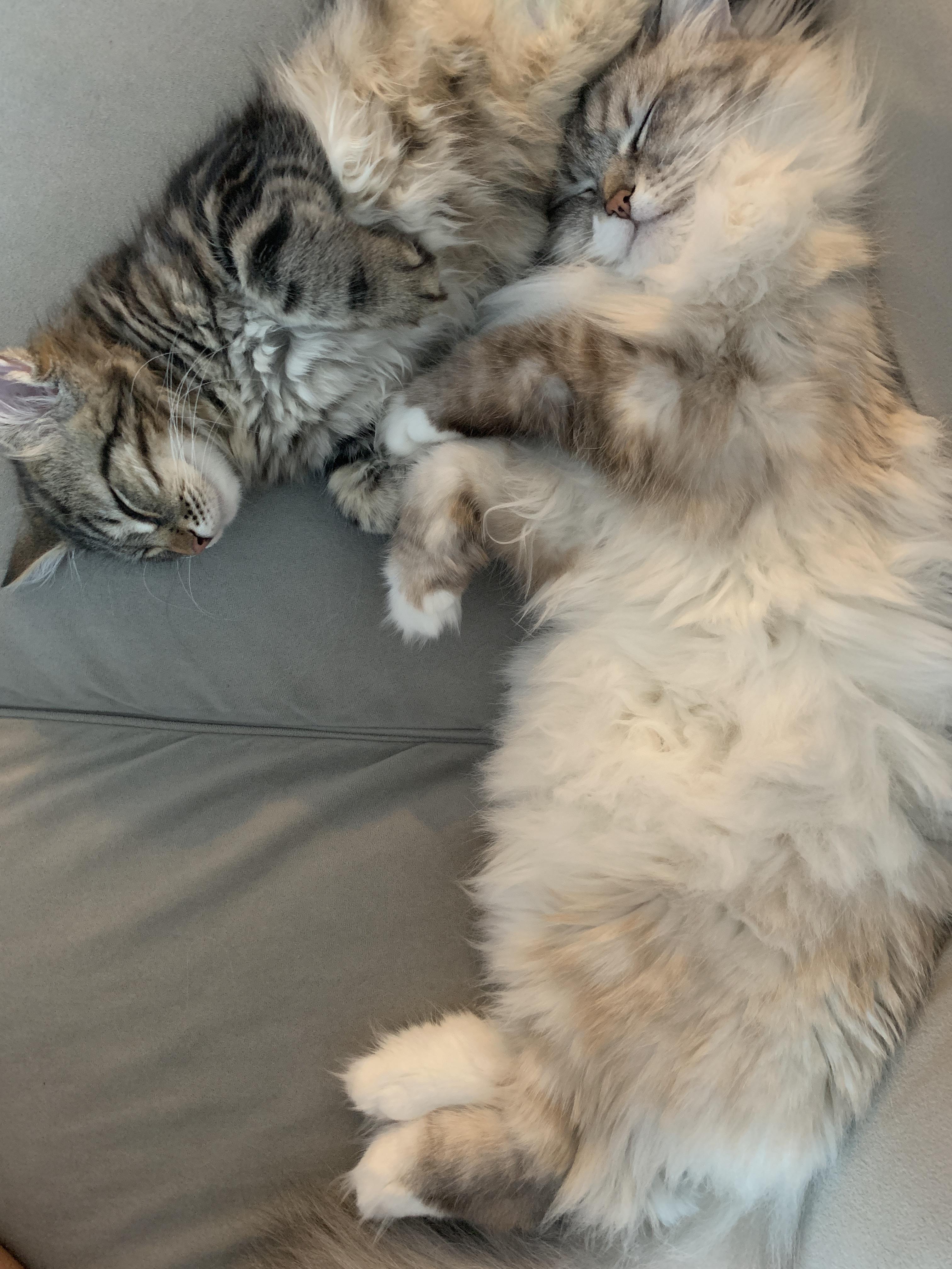 Exactly 2 Weeks Later | Scrolller