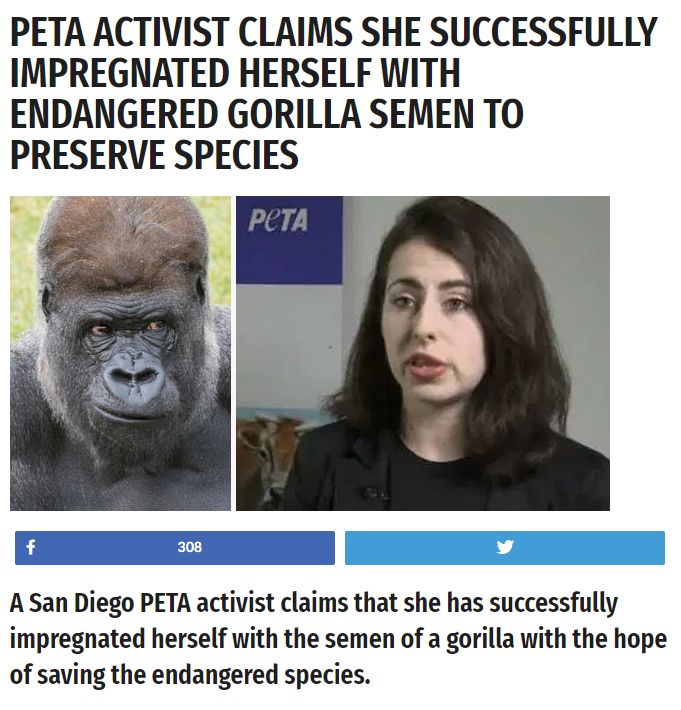 Excuse me Noah, I don't think this is how it was meant to go | Scrolller