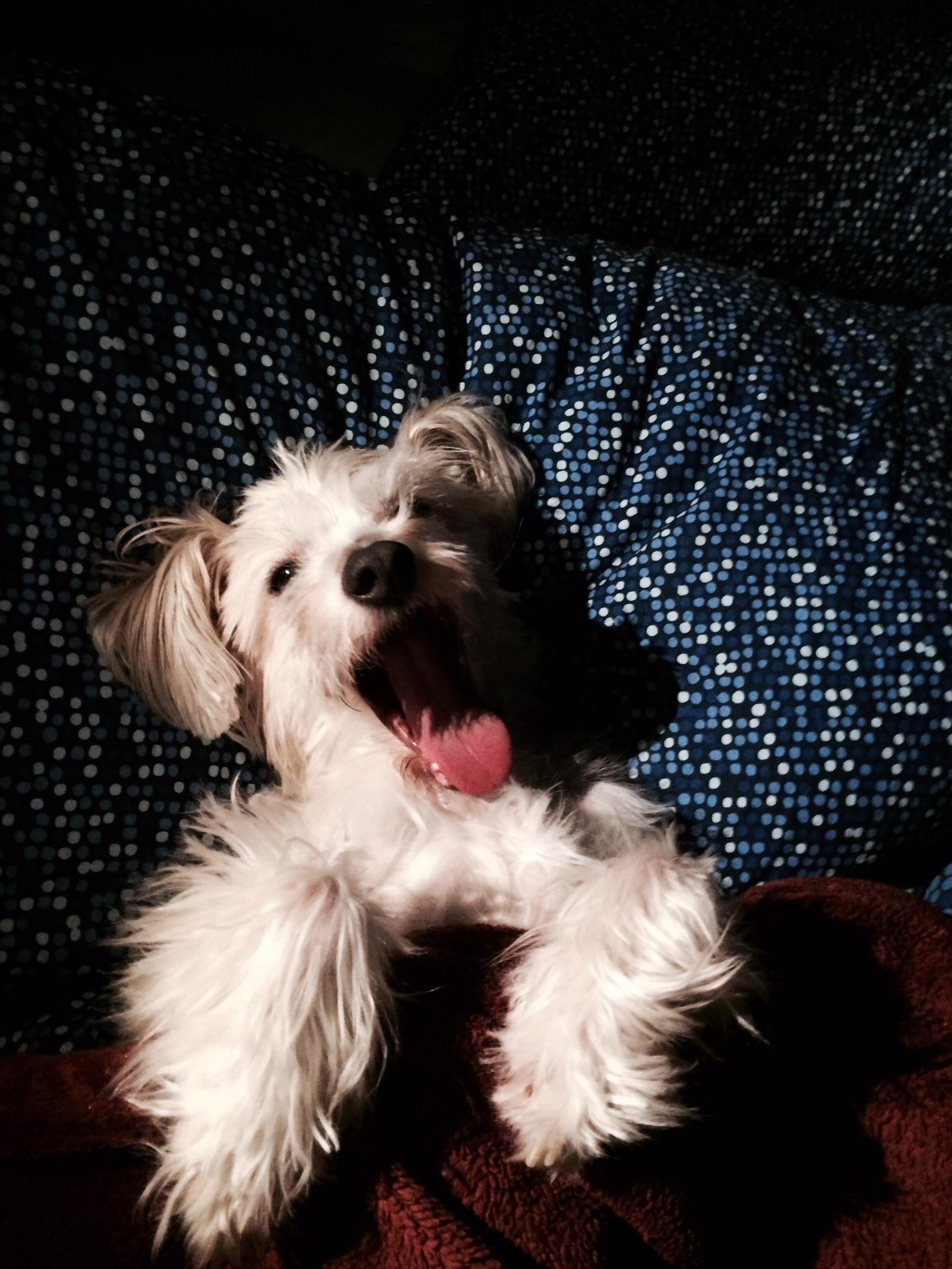 Exhausted. | Scrolller