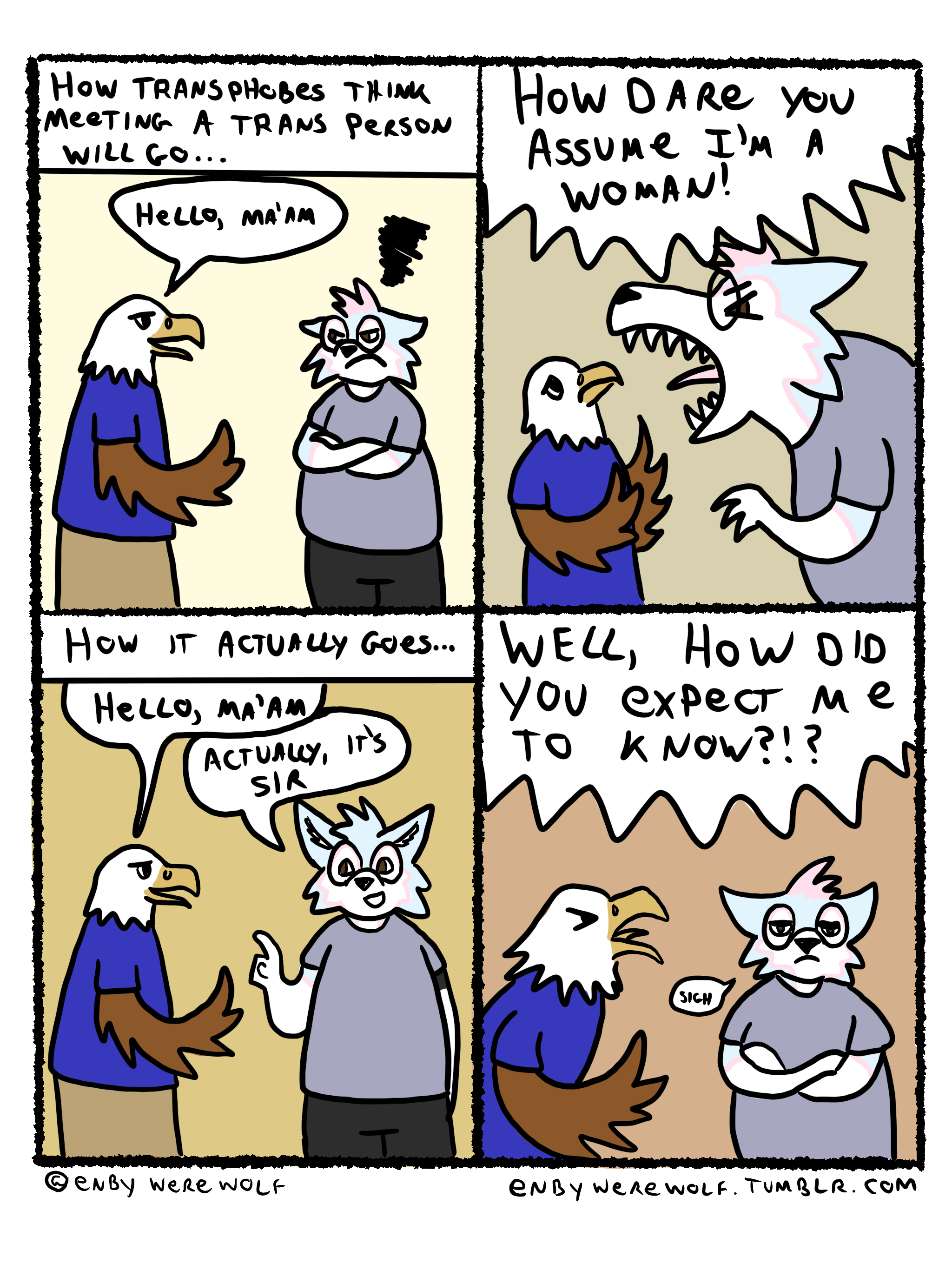 Expectation vs reality- transphobe edition | Scrolller