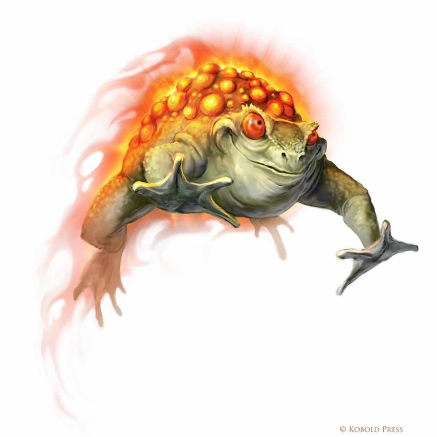 Exploding Toad by Will O'Brien | Scrolller