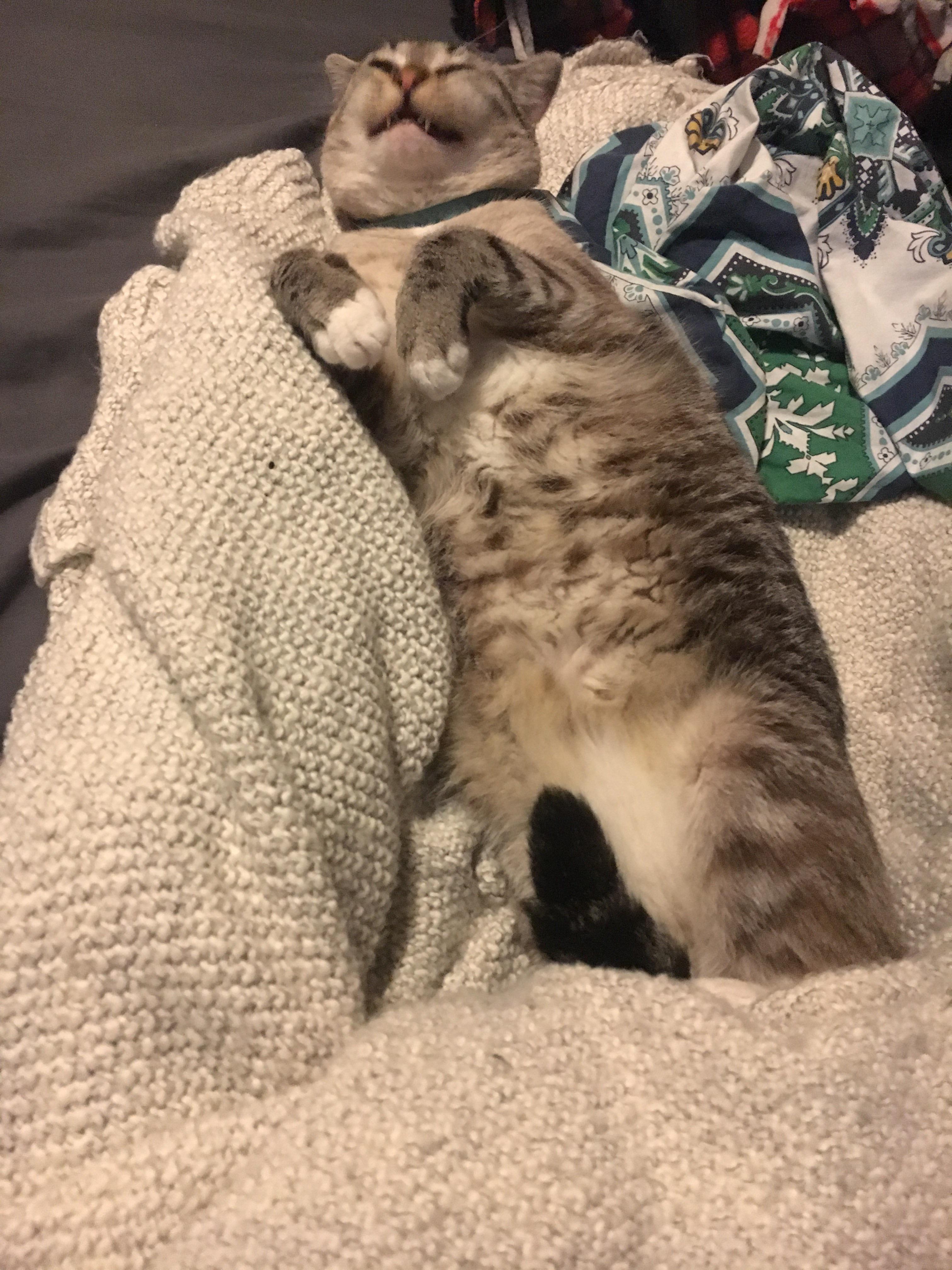 Exposed belly scrunge!! | Scrolller