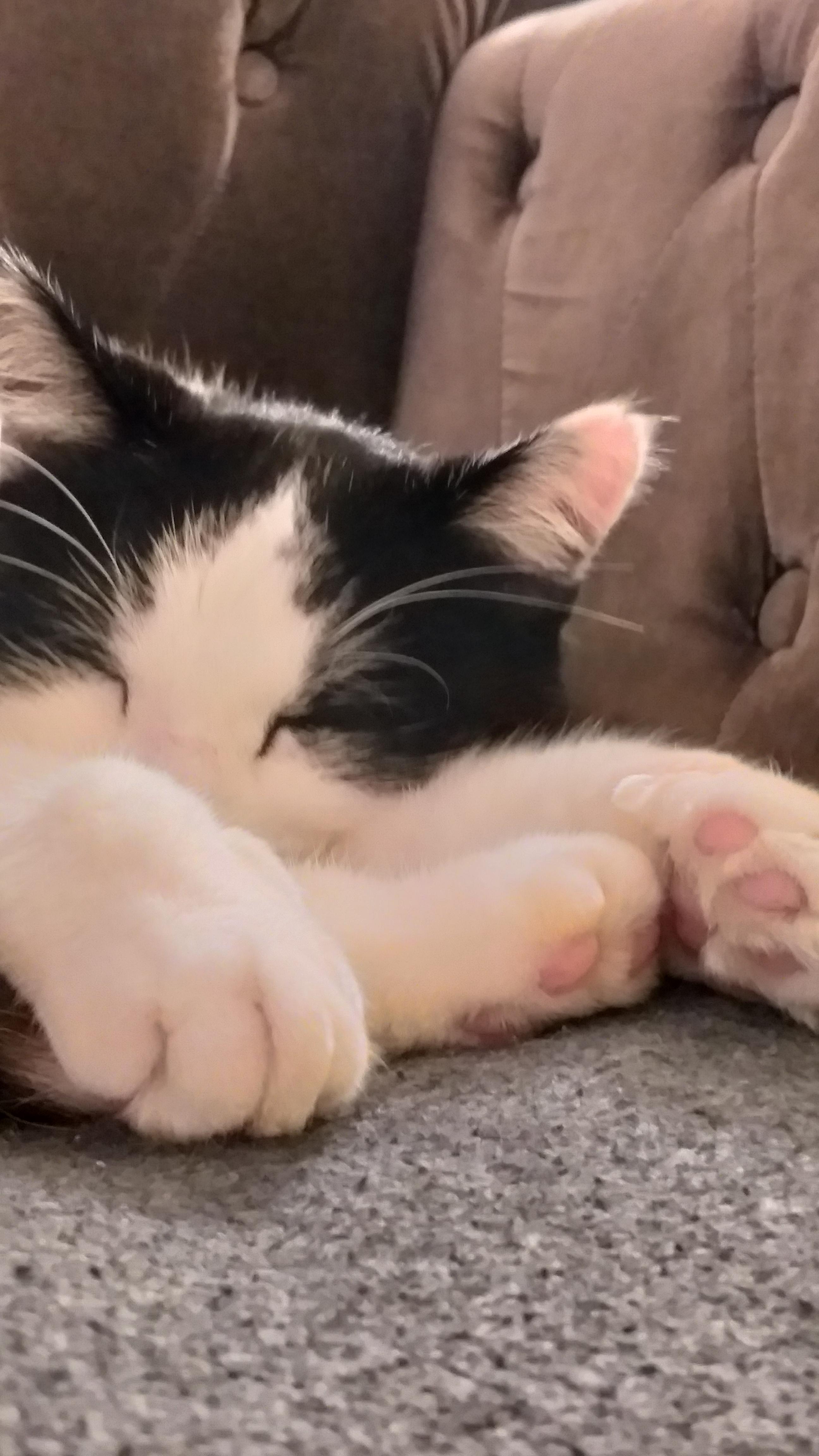 exposed pink beans | Scrolller