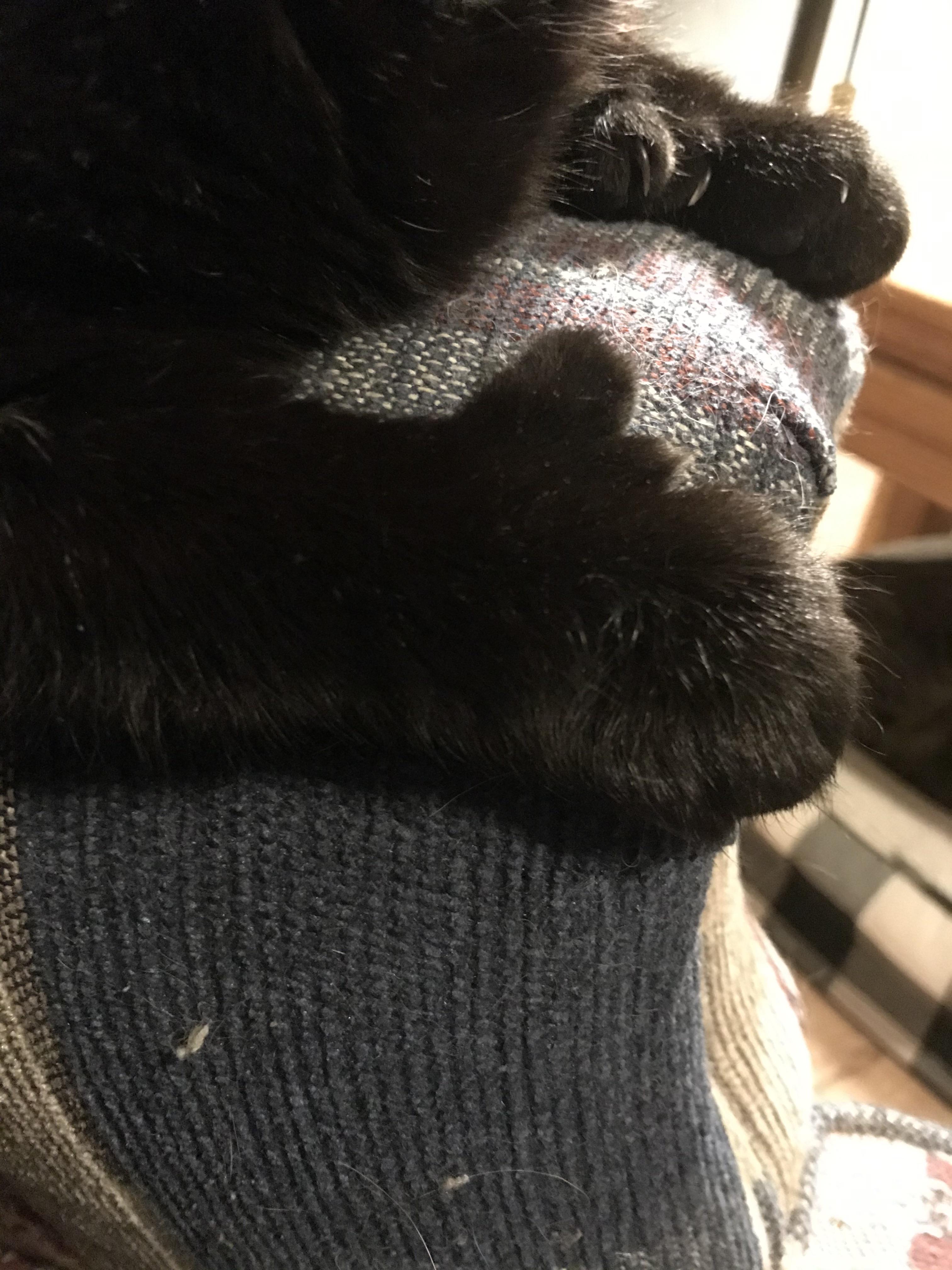 Extra toe void mittens | Scrolller