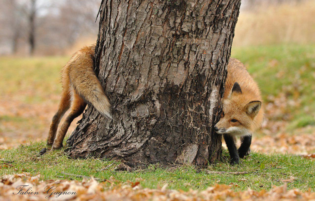 Extremely long boy | Scrolller