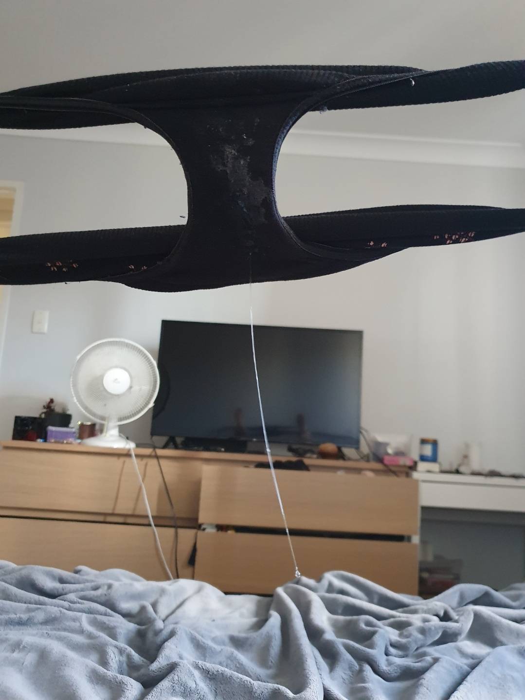 [F] something a little different | Scrolller