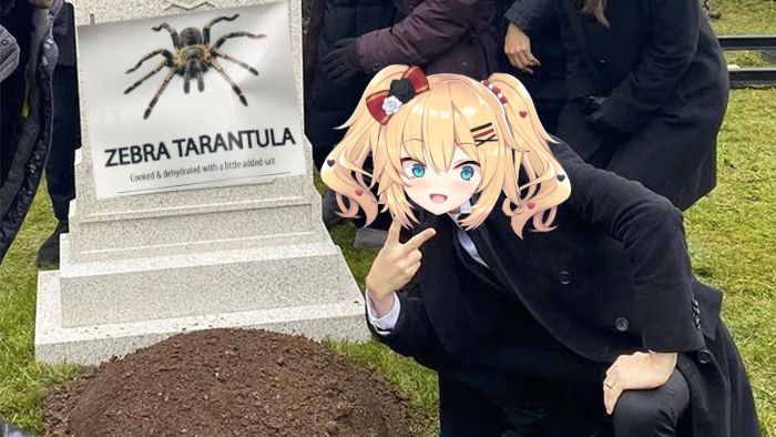 F Tarantula kun........ | Scrolller