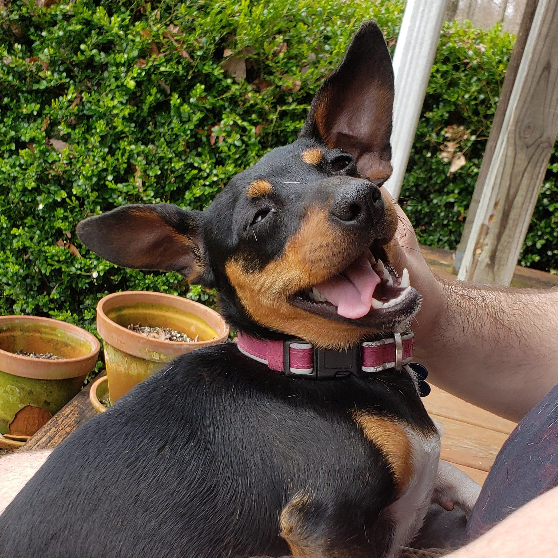 Face of pure derpy happiness | Scrolller