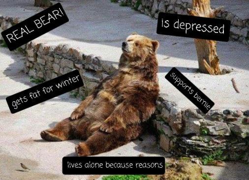 Facts about European brown bears. | Scrolller