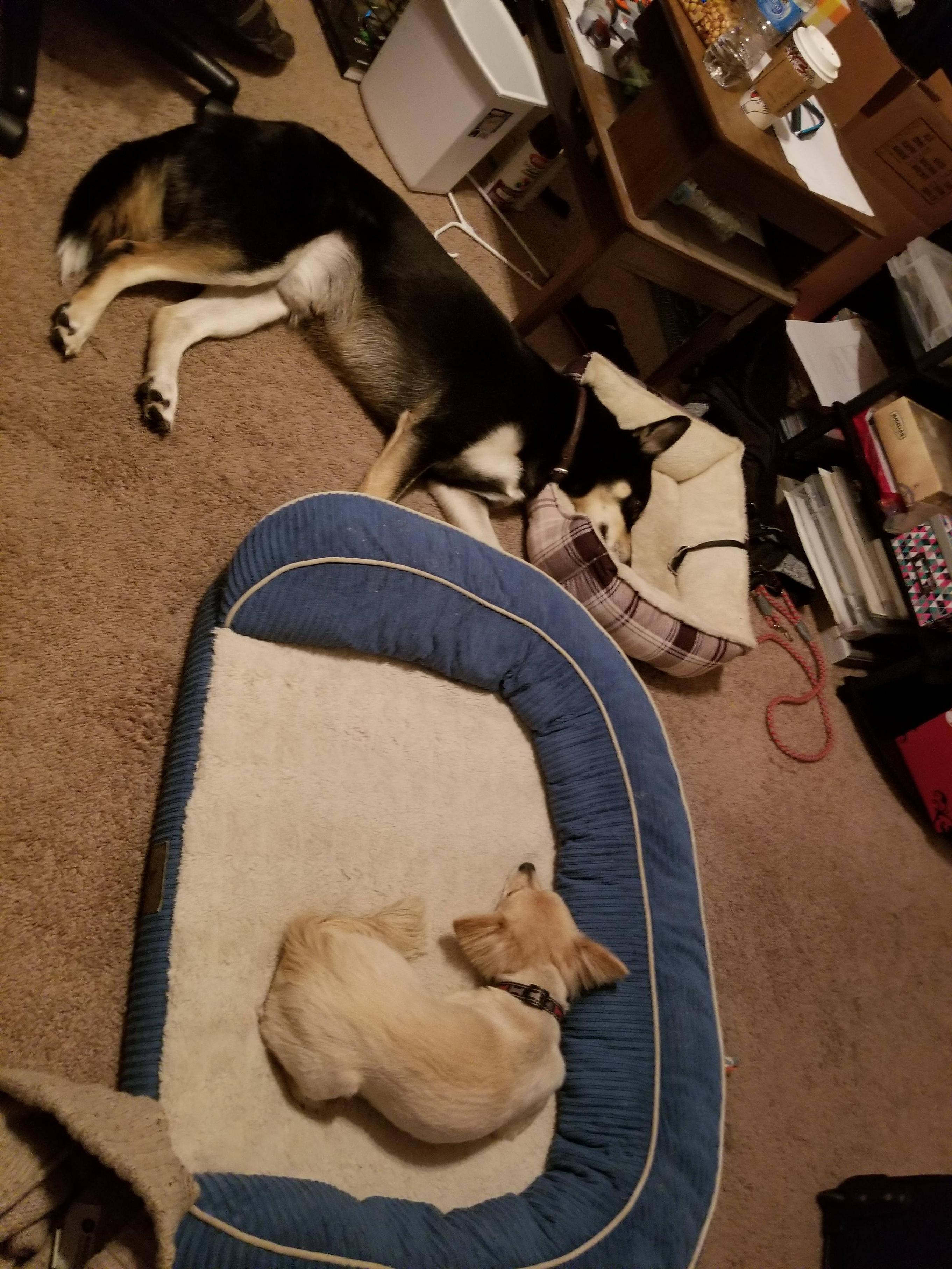 Fair trade? | Scrolller