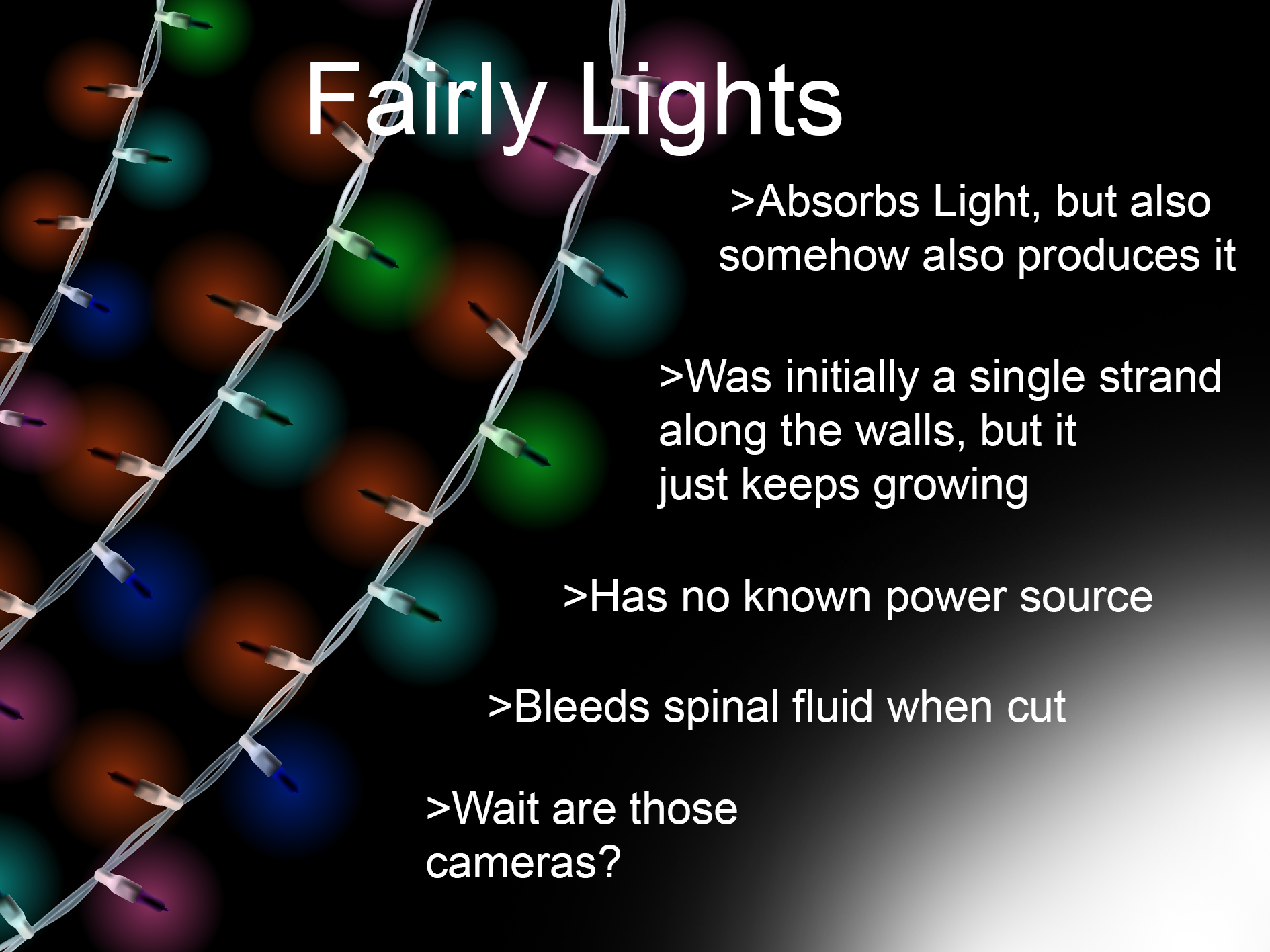 Fairly Lights | Scrolller