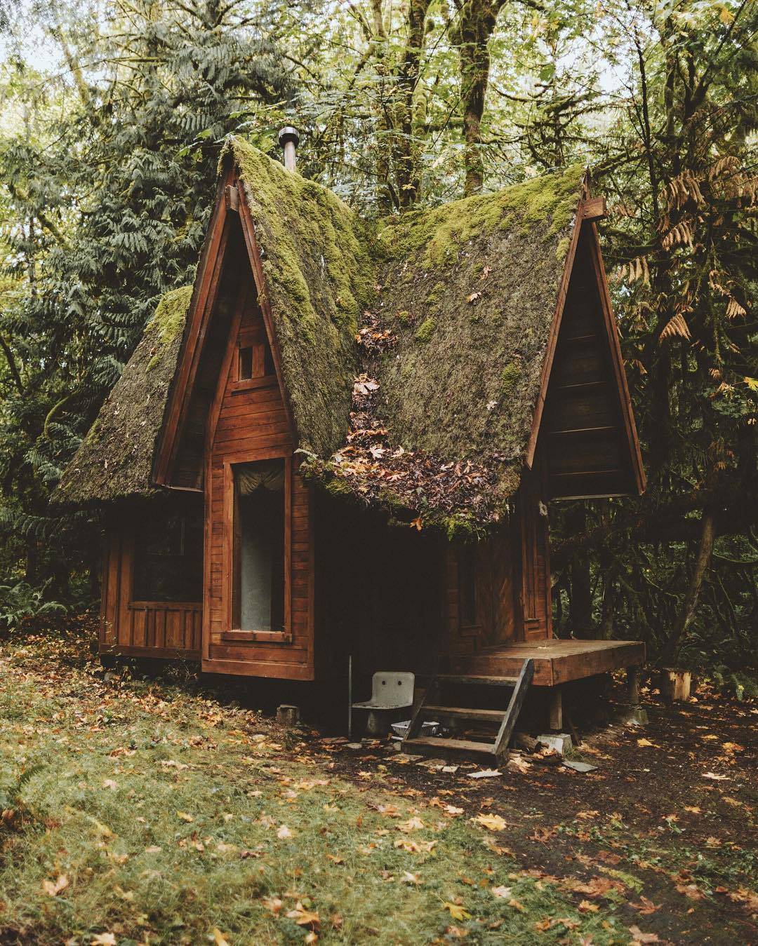 Fairy tale cabin in the woods | Scrolller