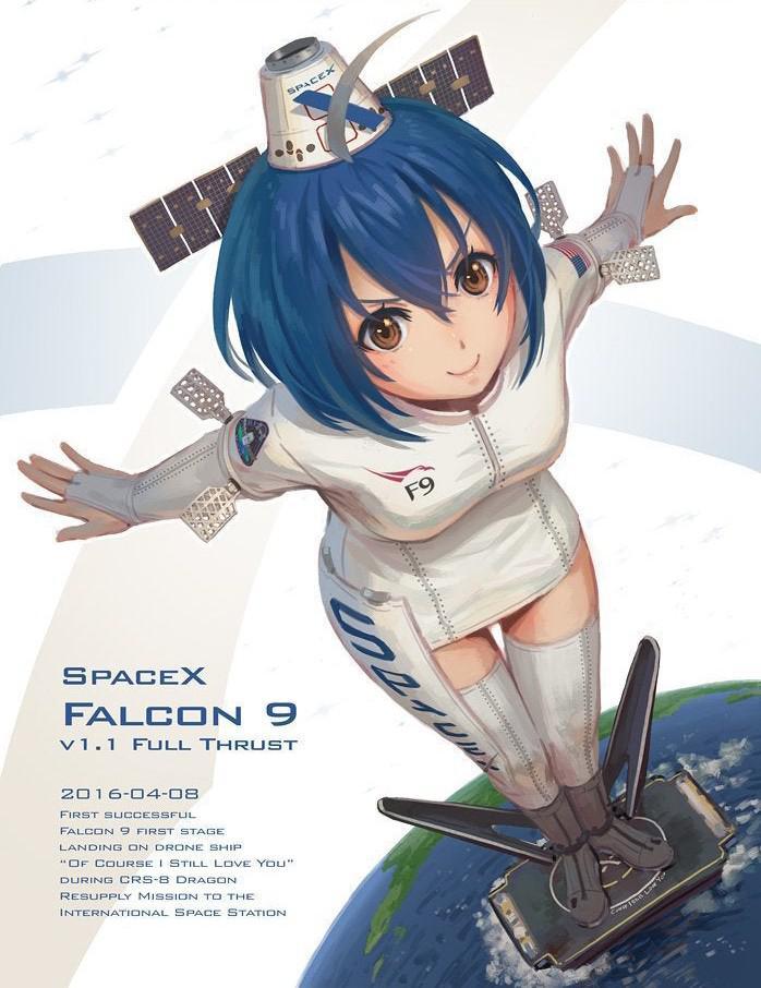 Falcon 9 chan. Congrats to Space X for their historic launch! | Scrolller