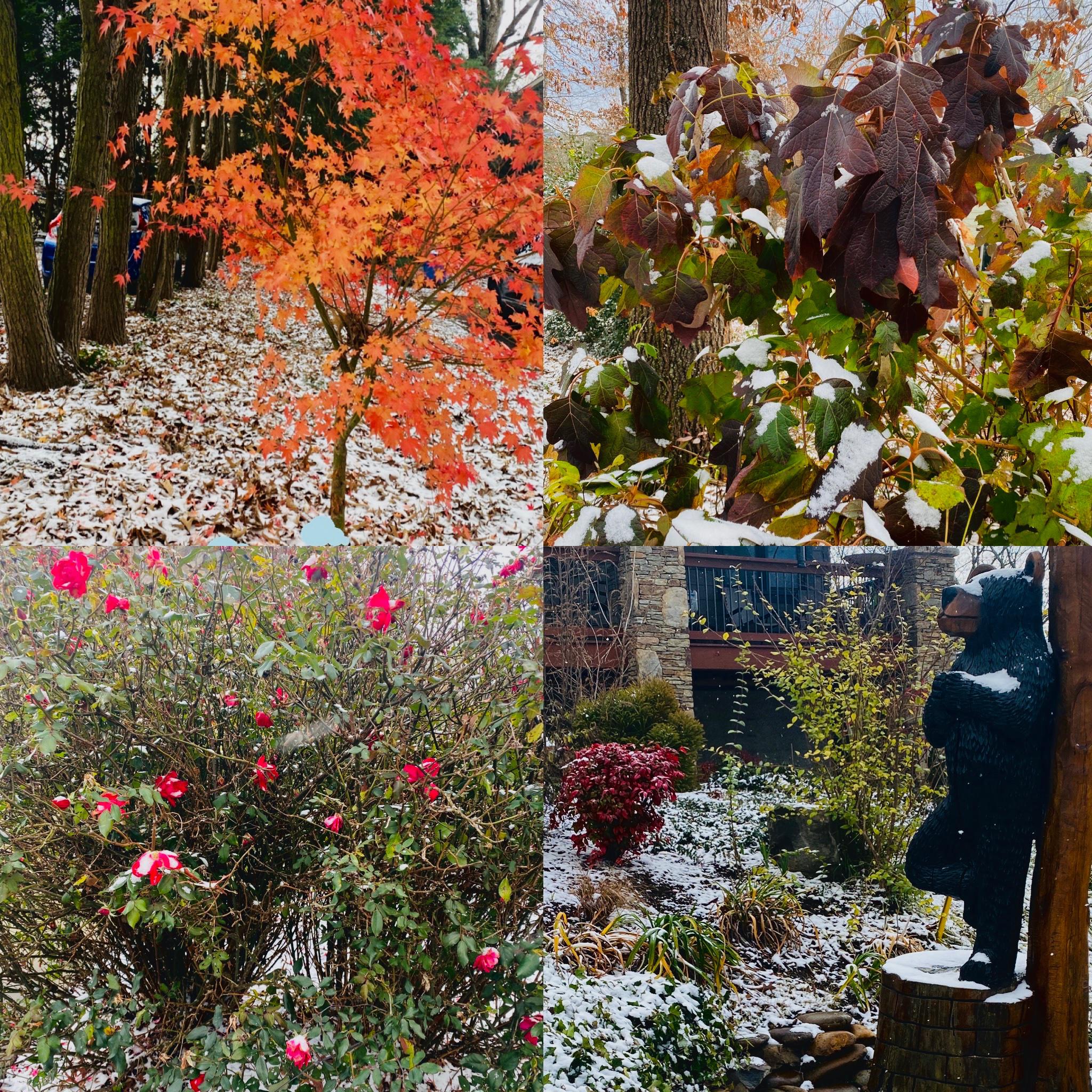 Fall and Winter Become Friends | Scrolller