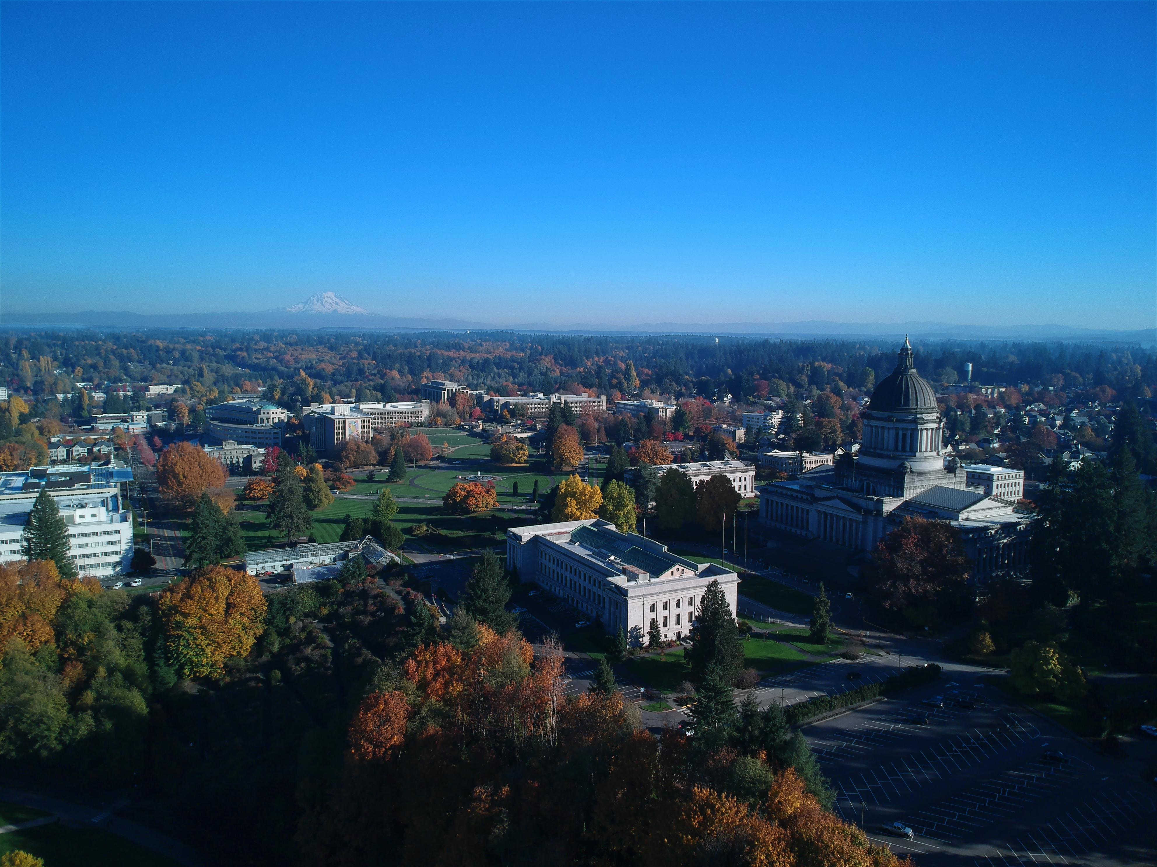 Fall Capital | Scrolller