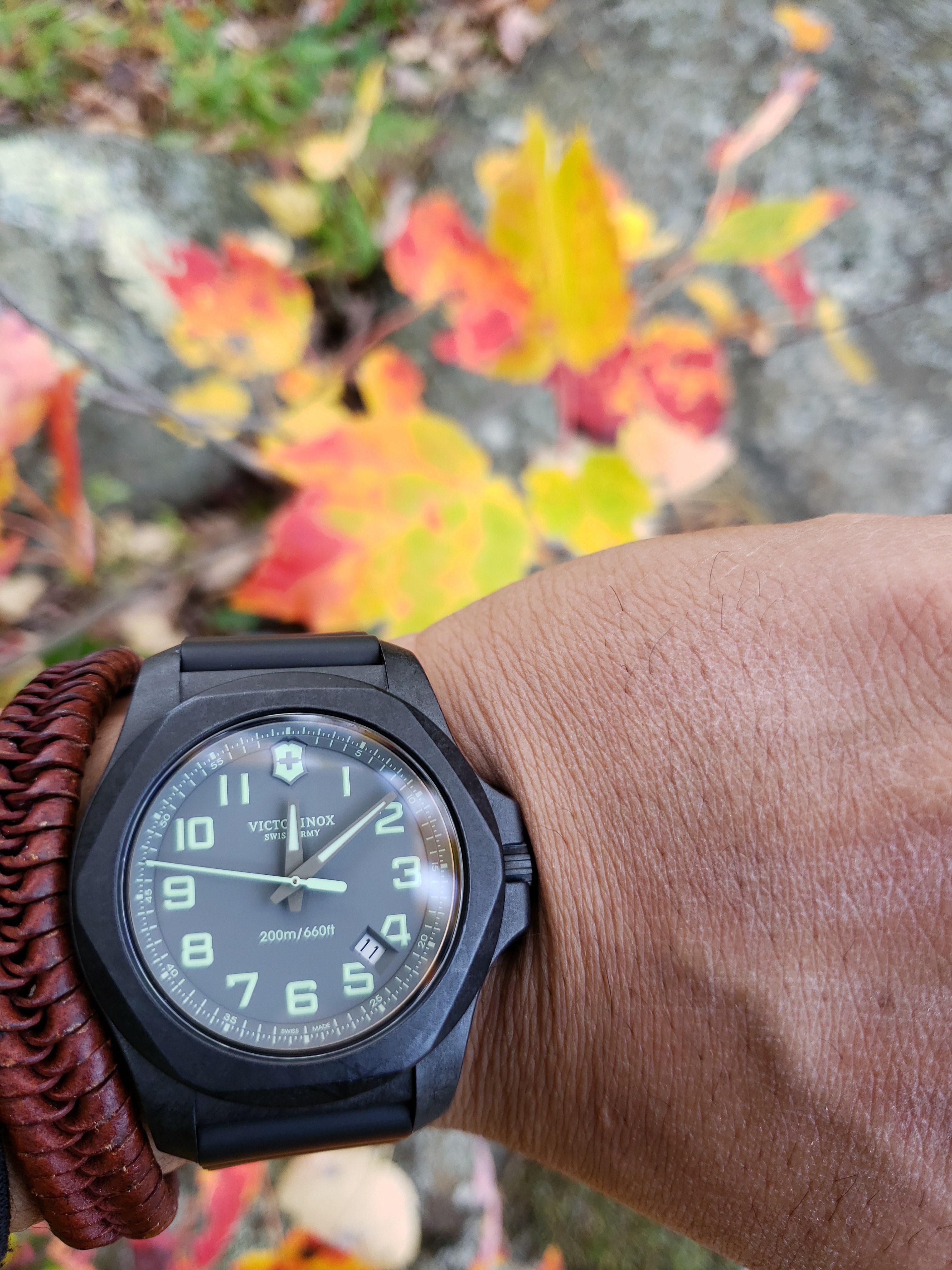 Fall colors. | Scrolller