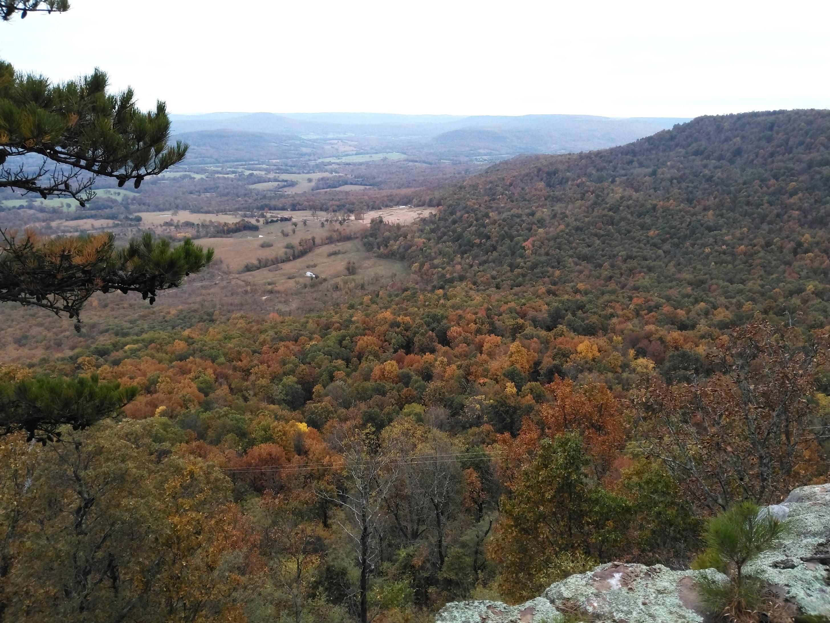 Fall colors are here! | Scrolller