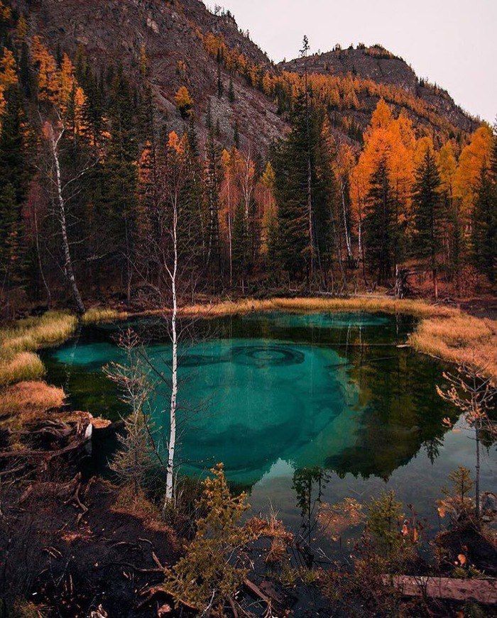 Fall Colors of Altai | Scrolller