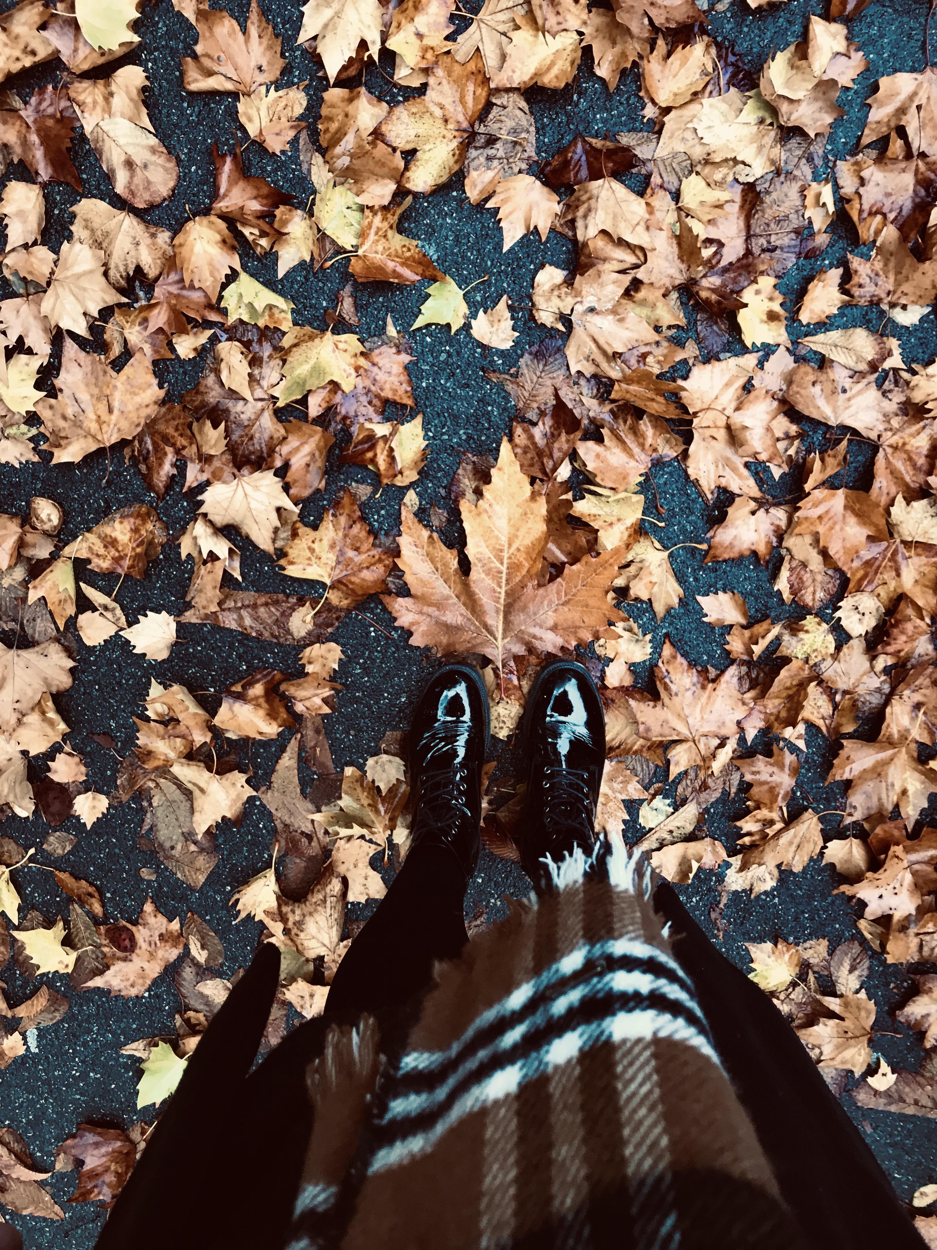 Fall days. | Scrolller