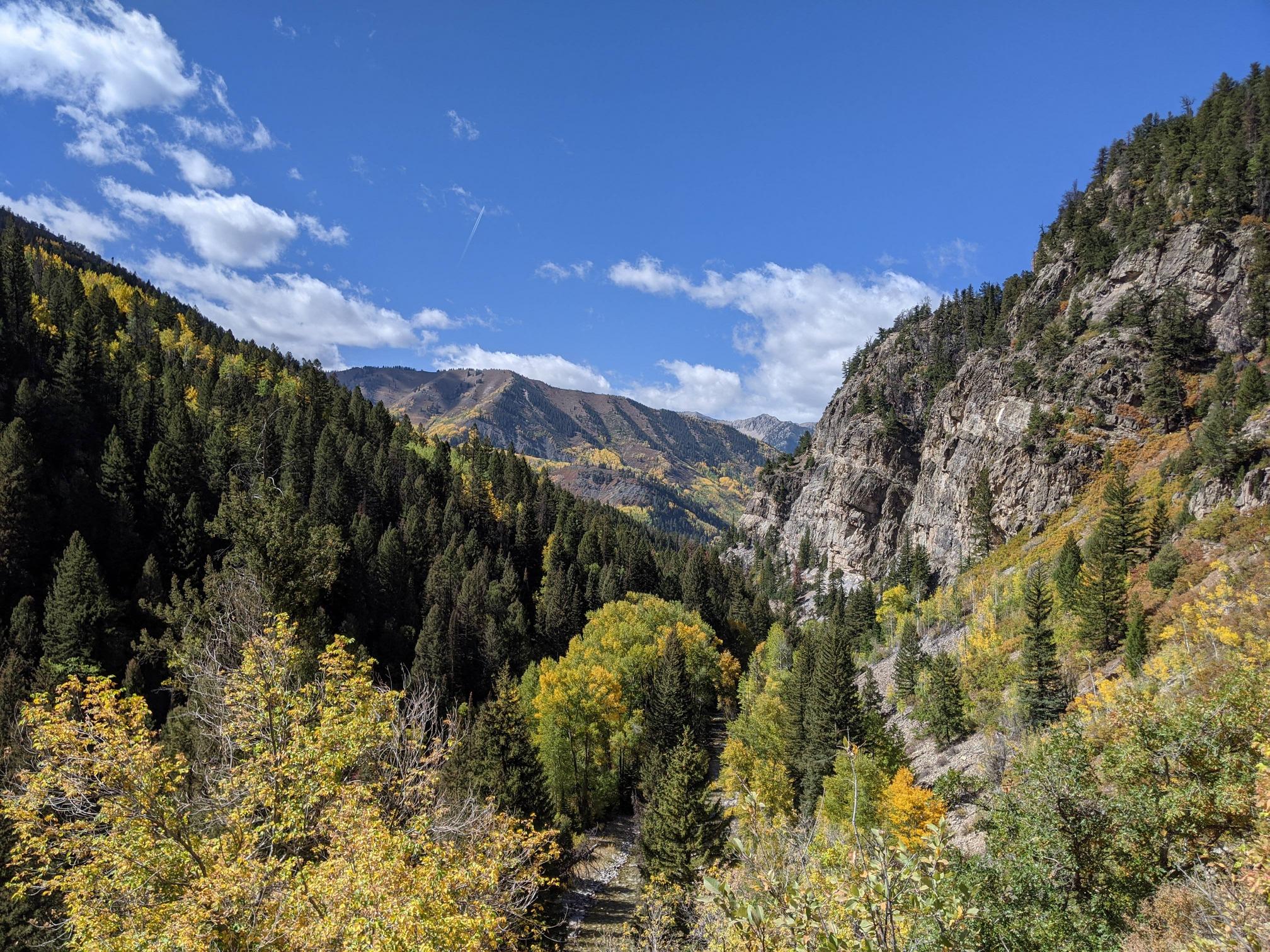 Fall in Aspen, CO | Scrolller