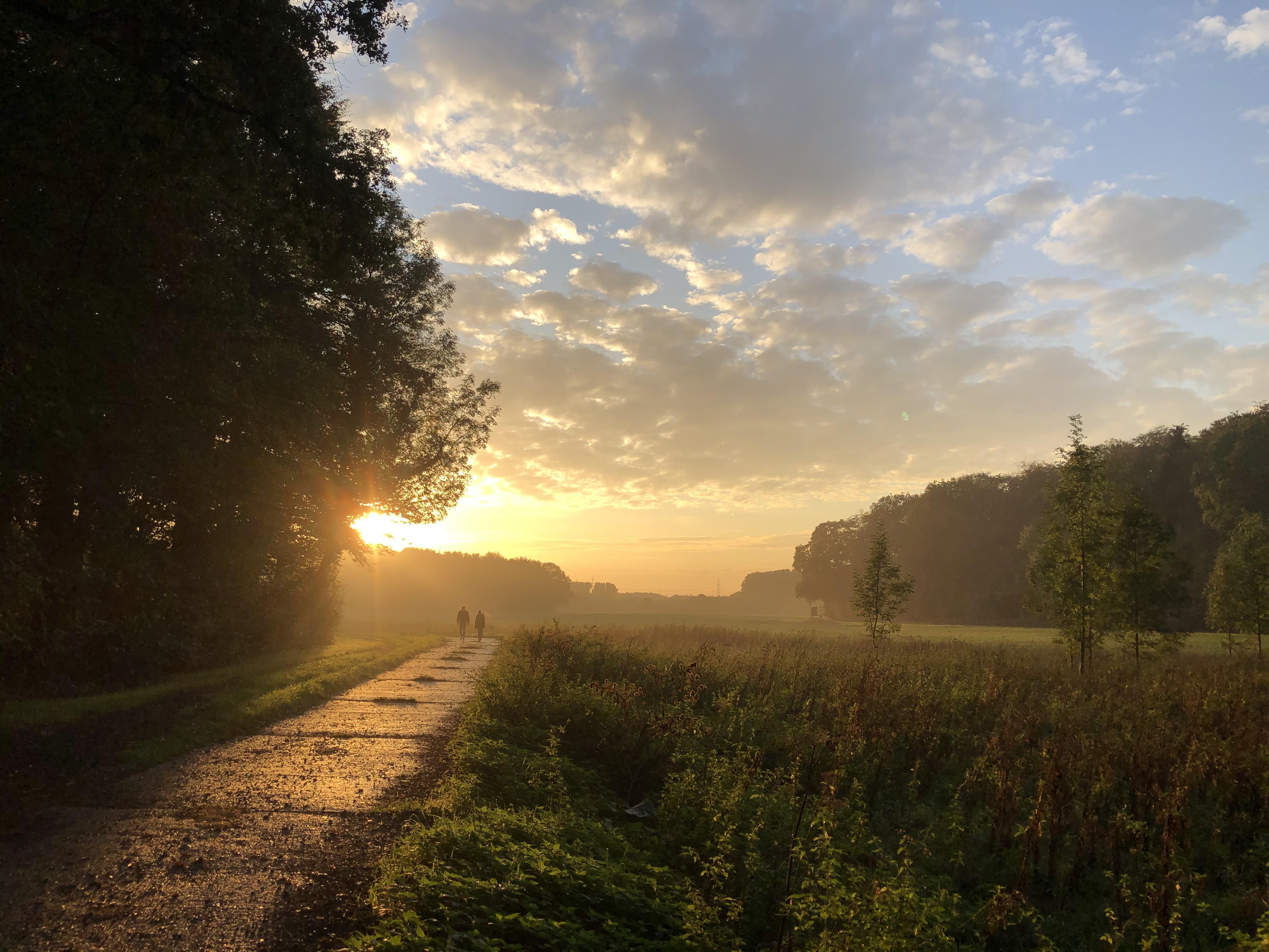 Fall in germany 2020 | Scrolller