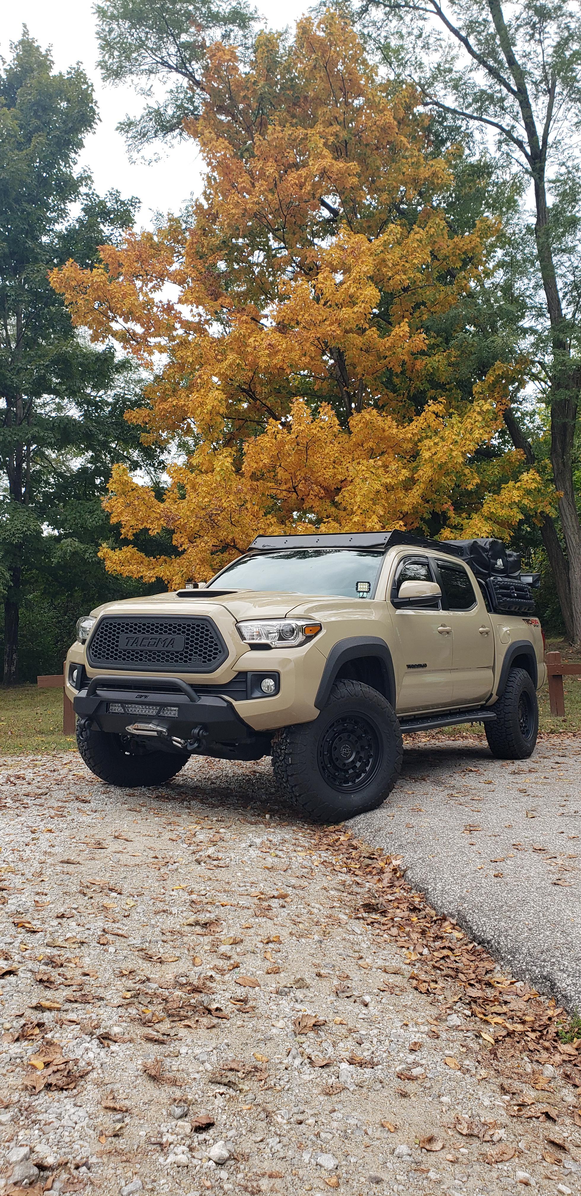 Fall is Here 🍂 | Scrolller