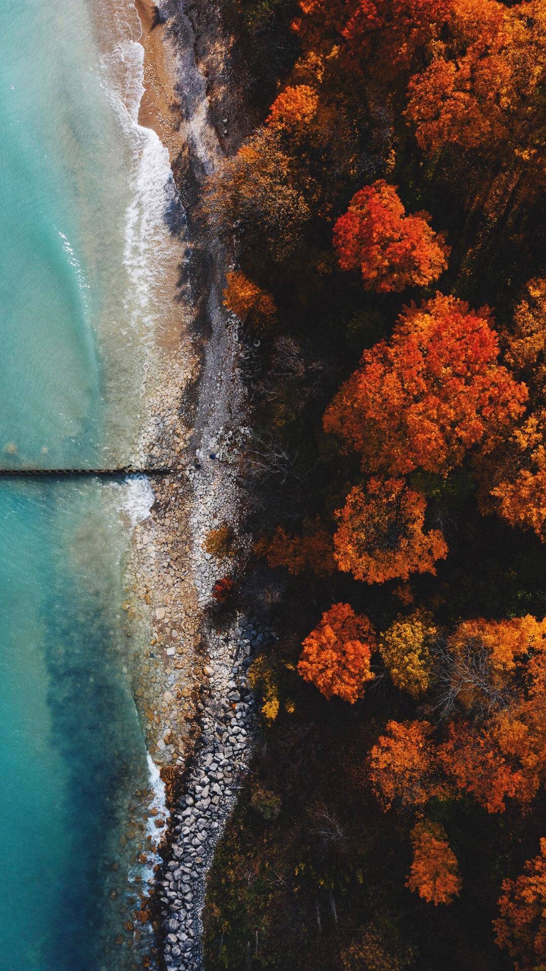 Fall...that is all... | Scrolller