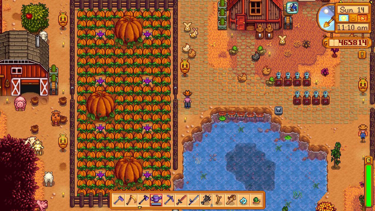 Fall year 6 and I grew 3 giant pumpkins!!! | Scrolller