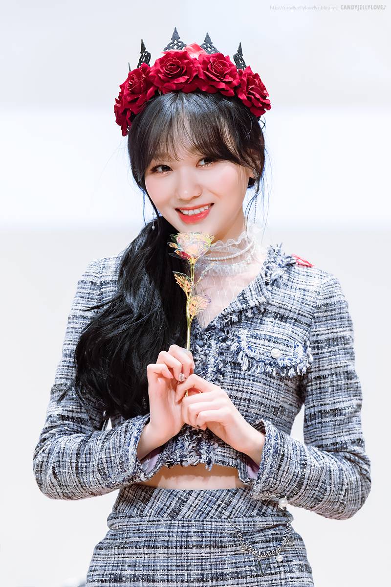 Fancy Flower Sujeong | Scrolller