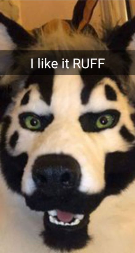 Fearless Fred Furry | Scrolller