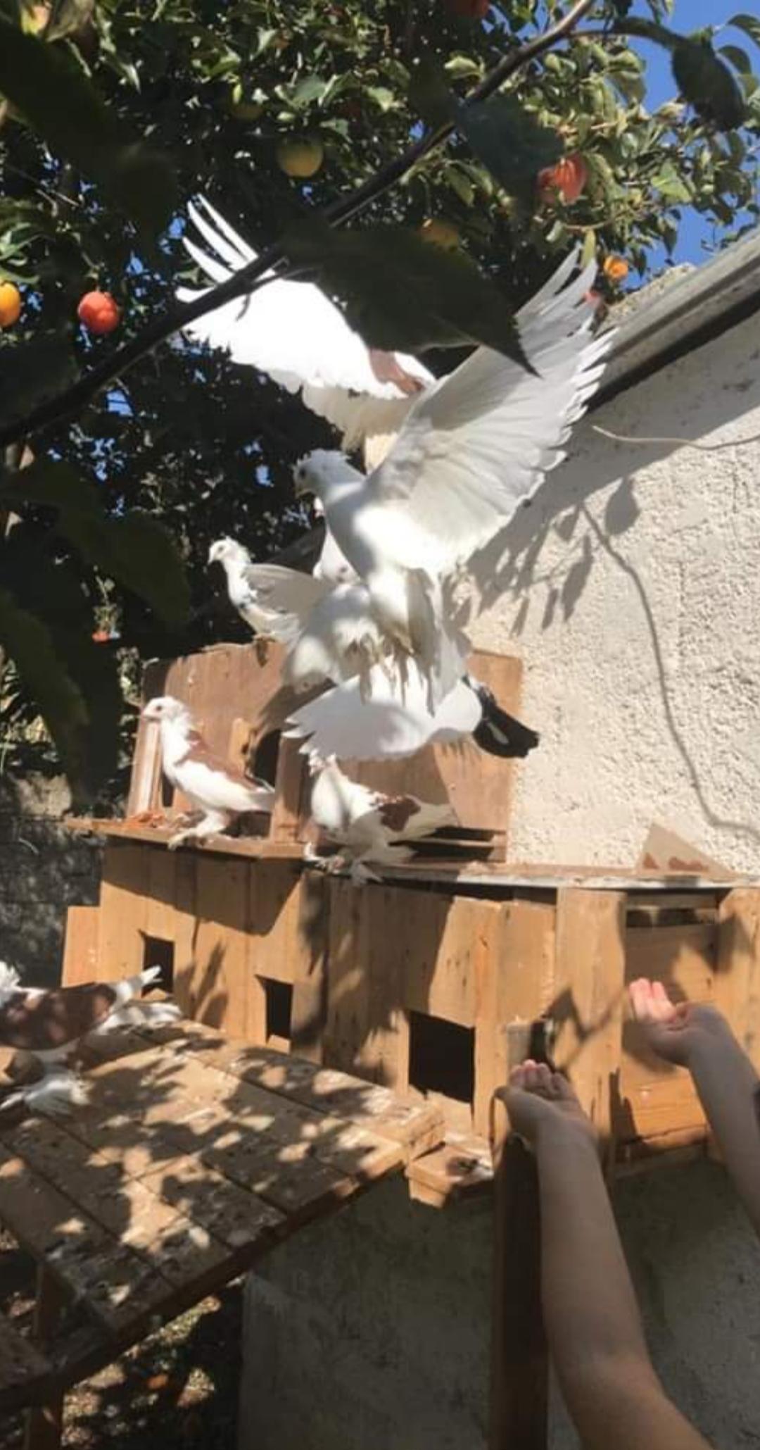 Feeding time | Scrolller