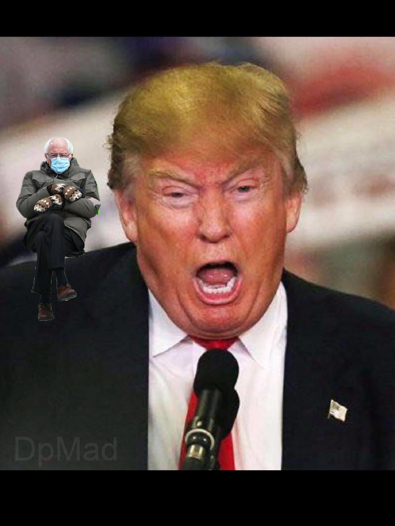 FEEL THE BERN!!! | Scrolller