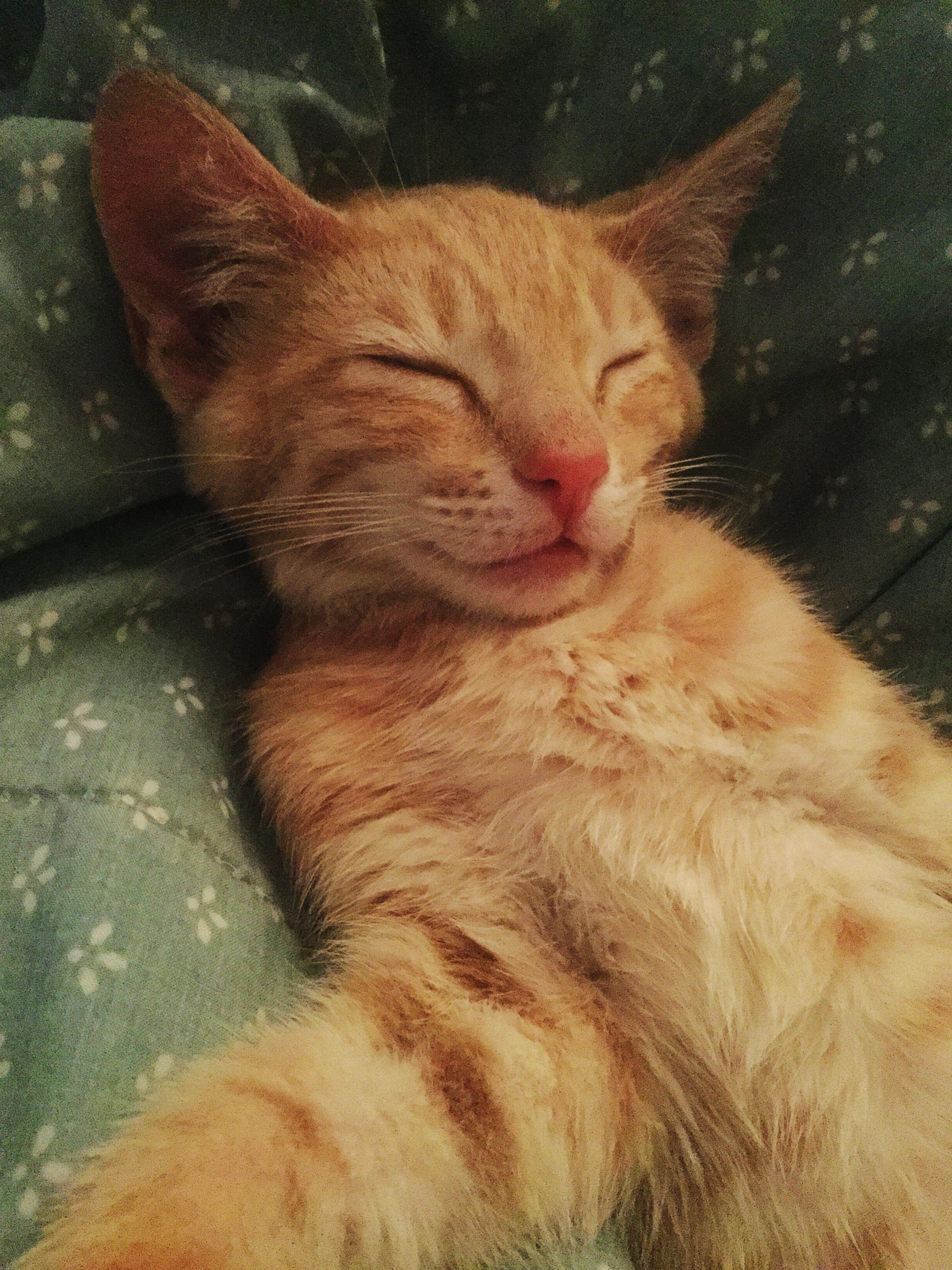 Feeling cute, might delete later | Scrolller