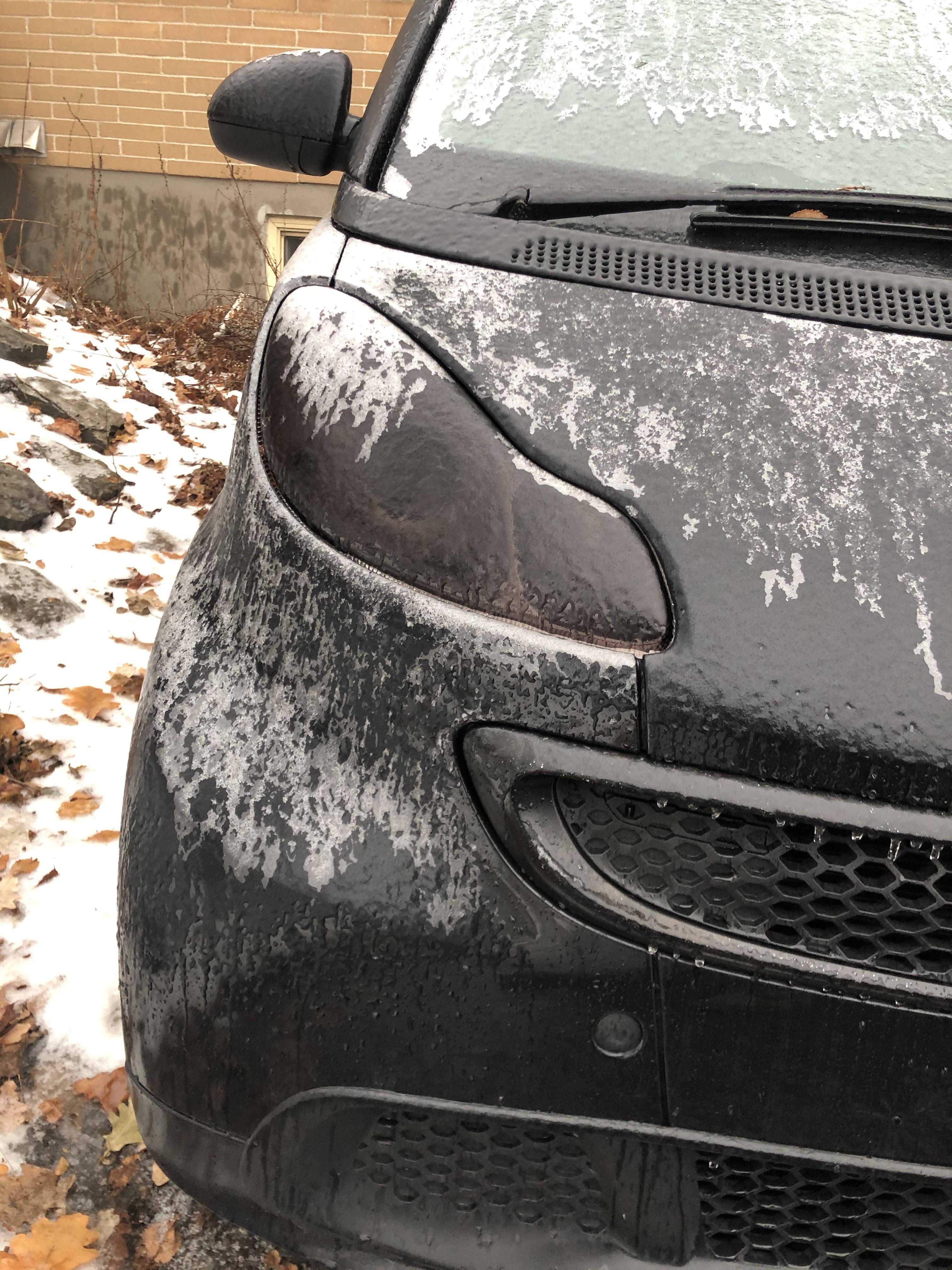 Feeling frosty | Scrolller