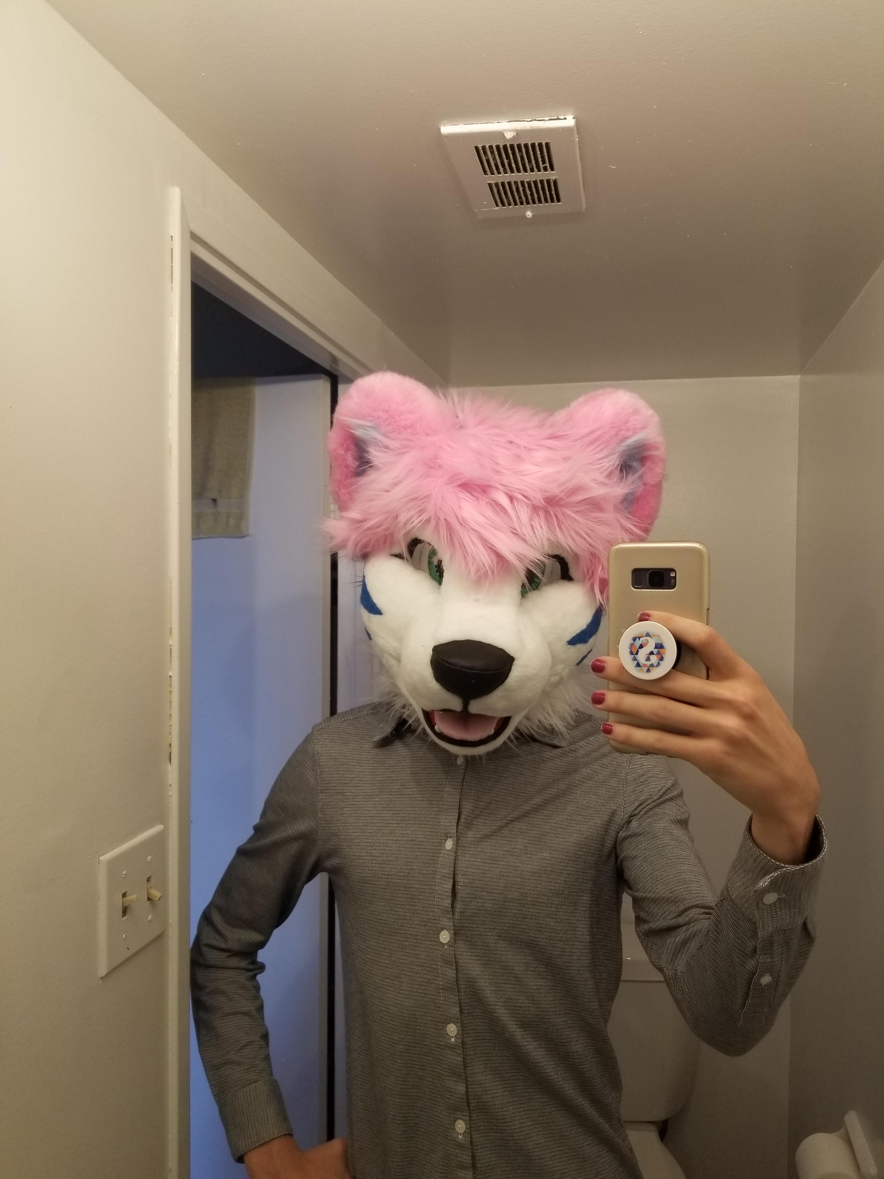 Feeling very dapper this fursuit friday. @cobaltthecoywolf on insta | Scrolller