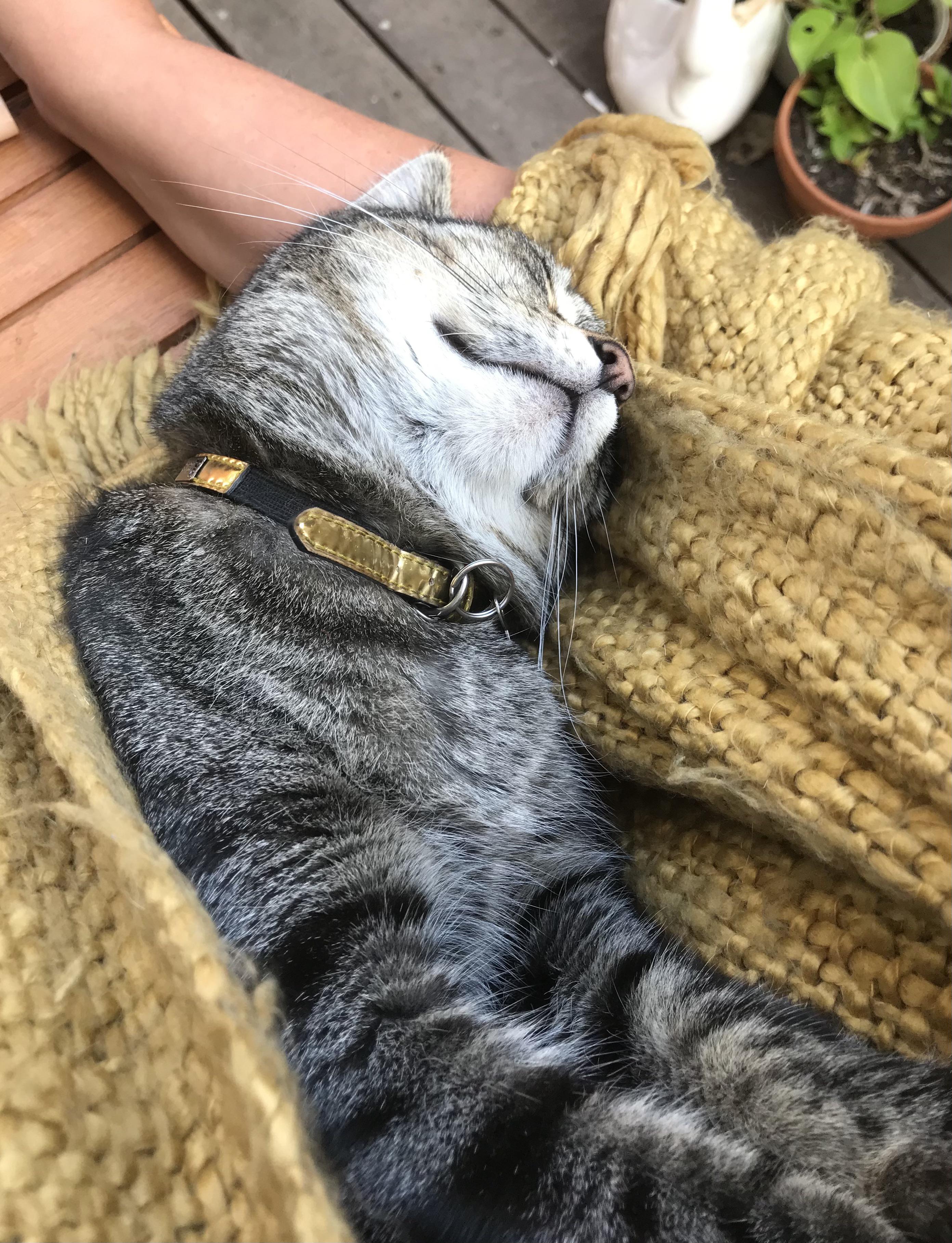 Fell asleep in my arms. He was snoring. | Scrolller