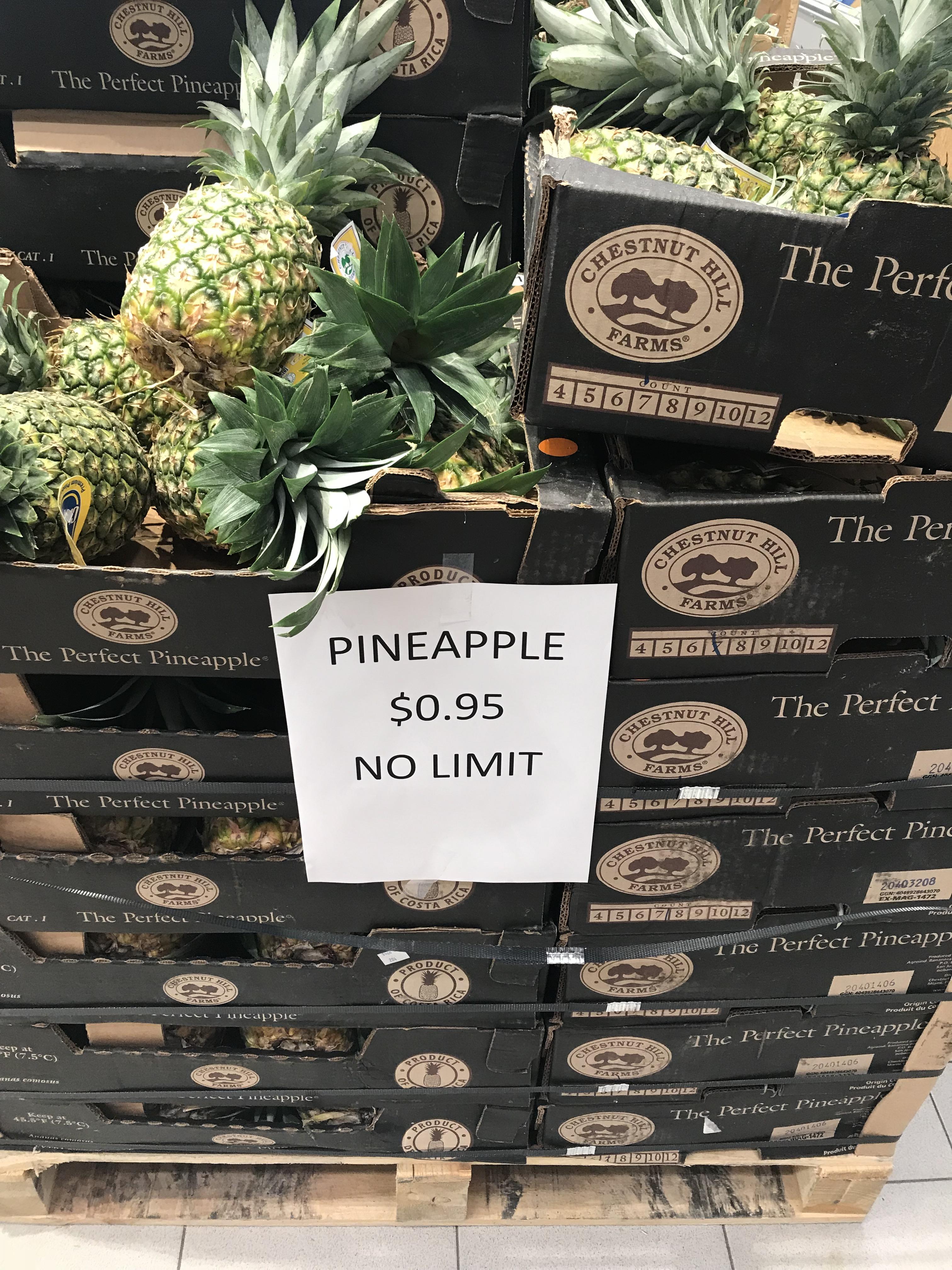 Fellow Knights .95 at Aldi!! | Scrolller