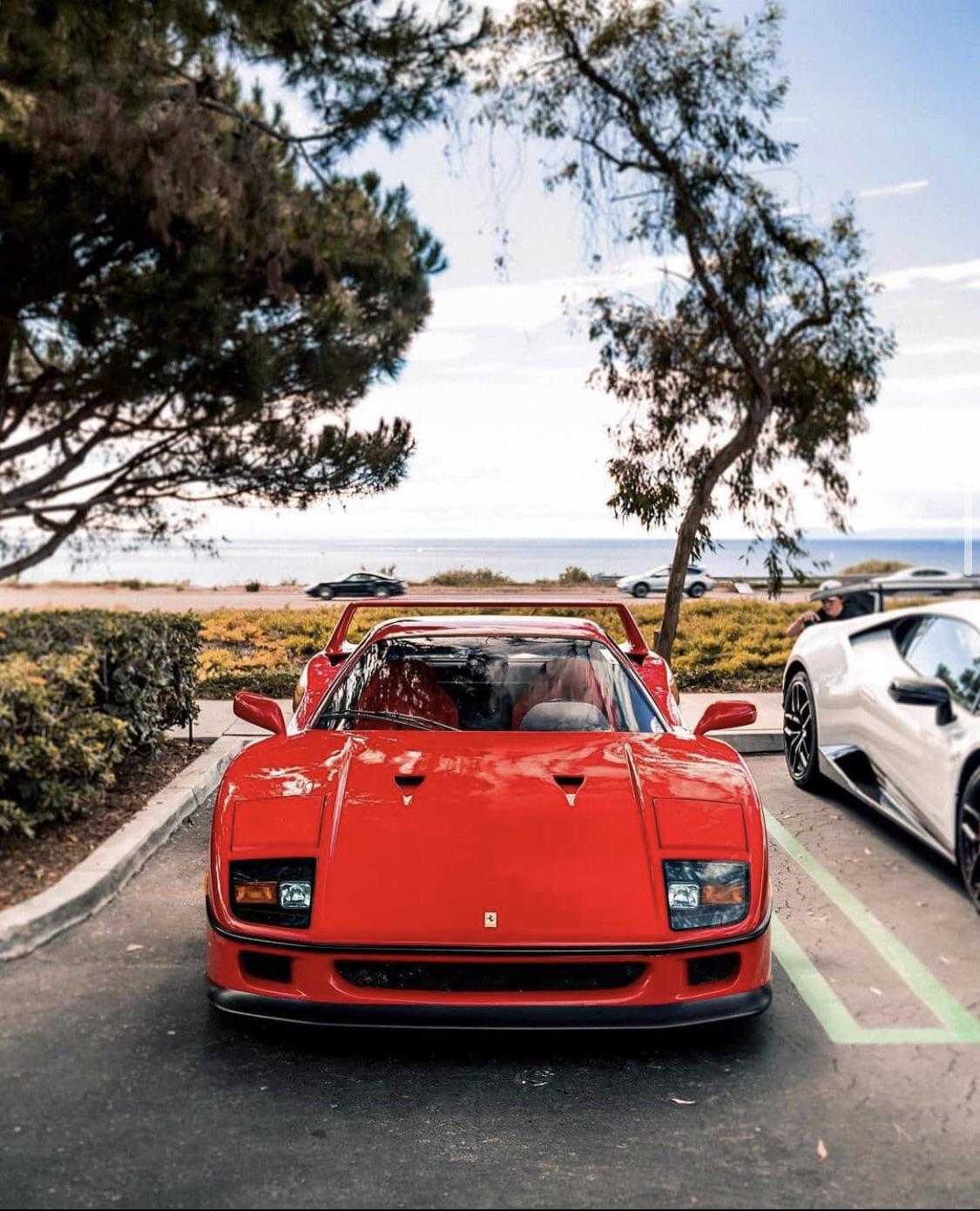 Ferrari F40 | Scrolller