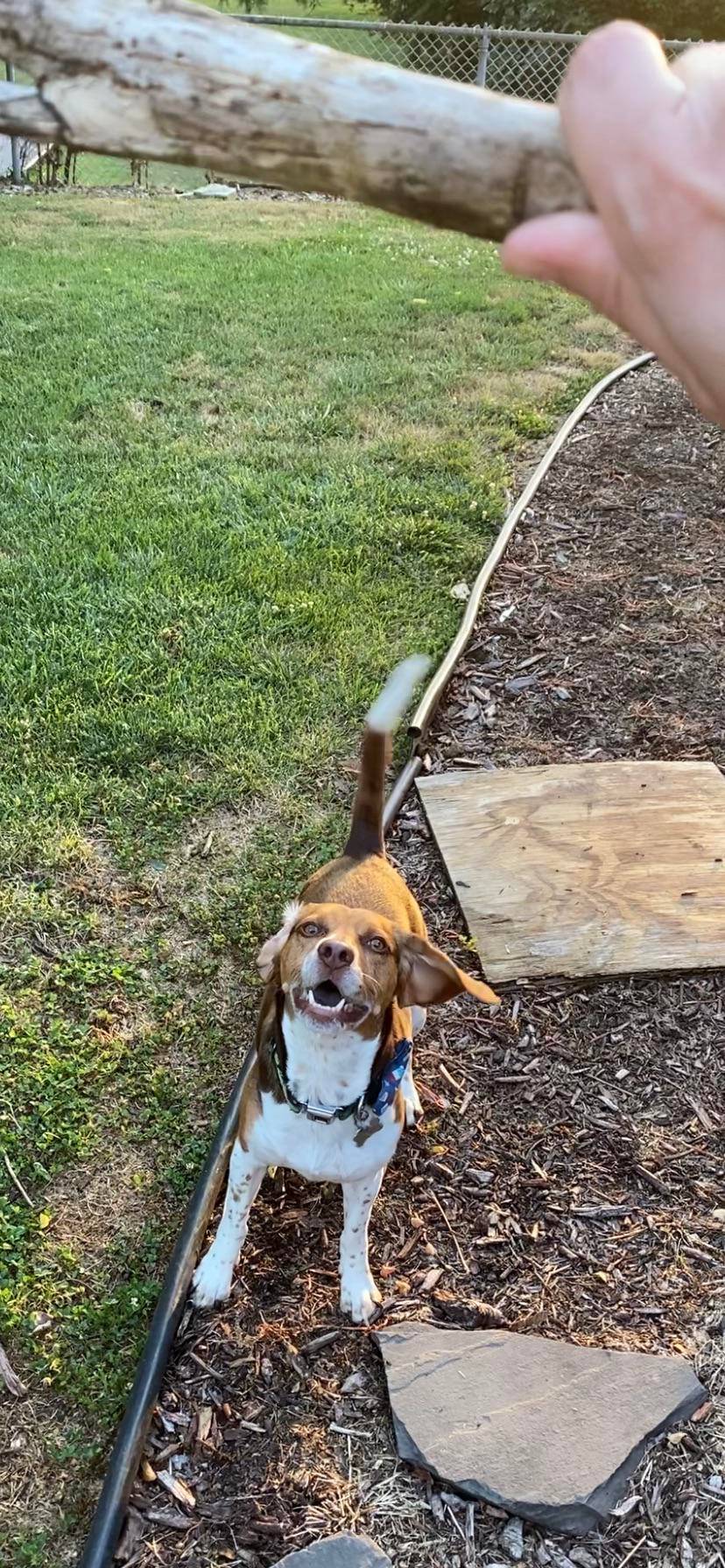 Fetch!!!! | Scrolller