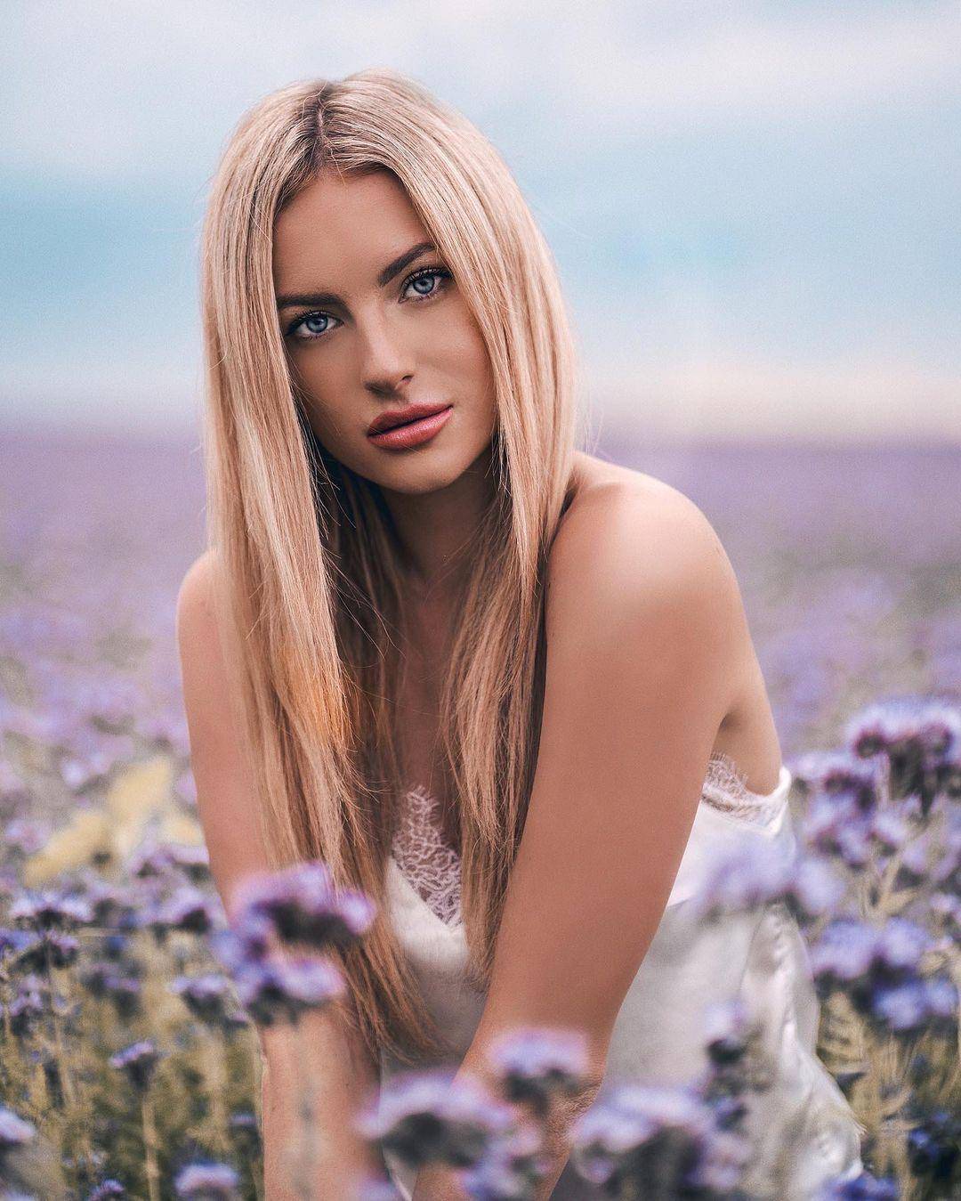 Field Of Flowers | Scrolller