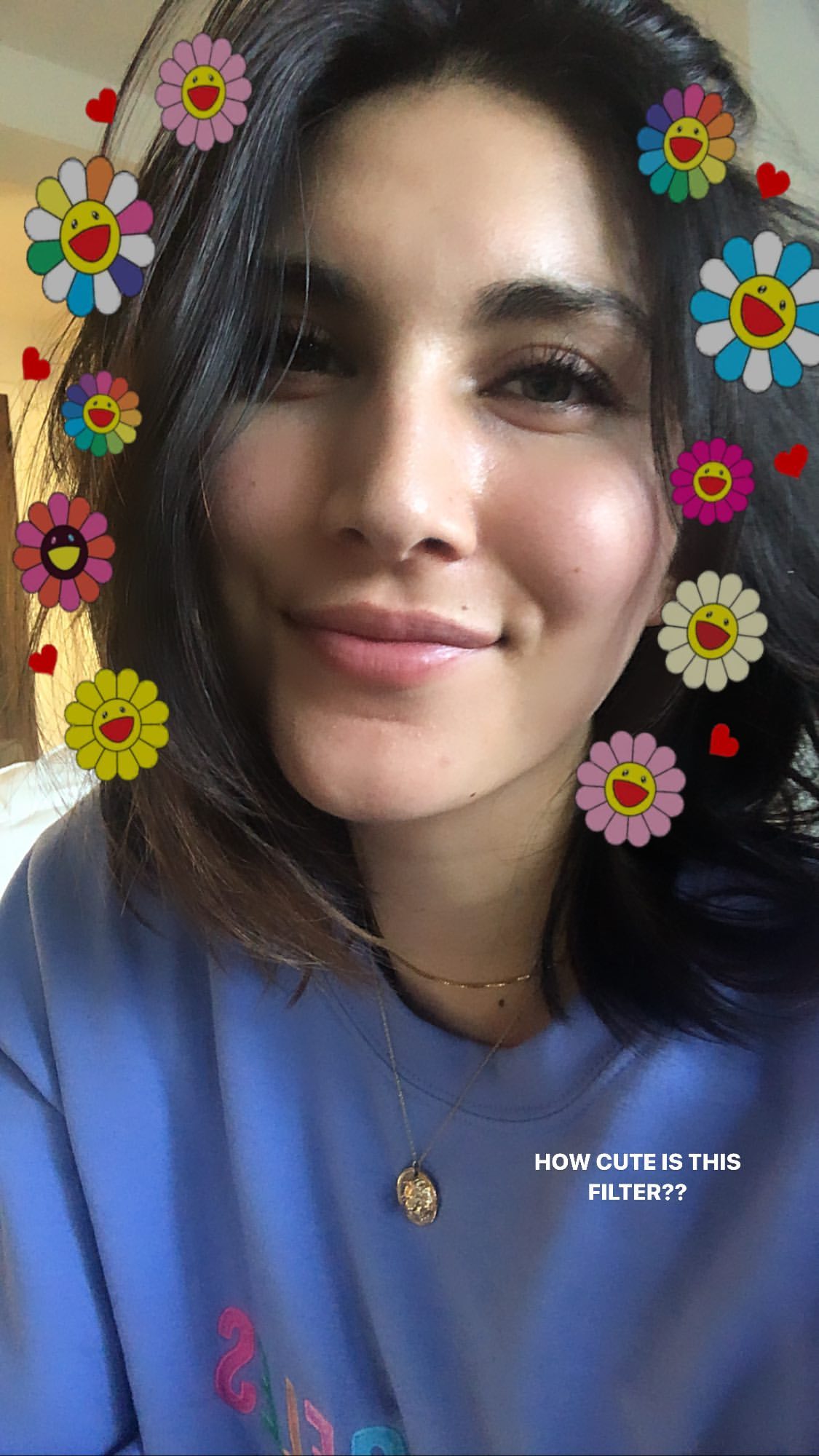 FilterSoCute! | Scrolller