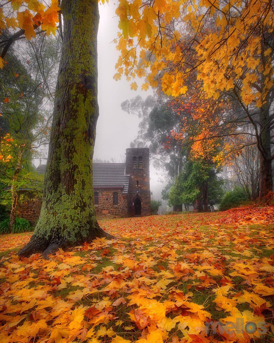 Final day of Autumn | Scrolller