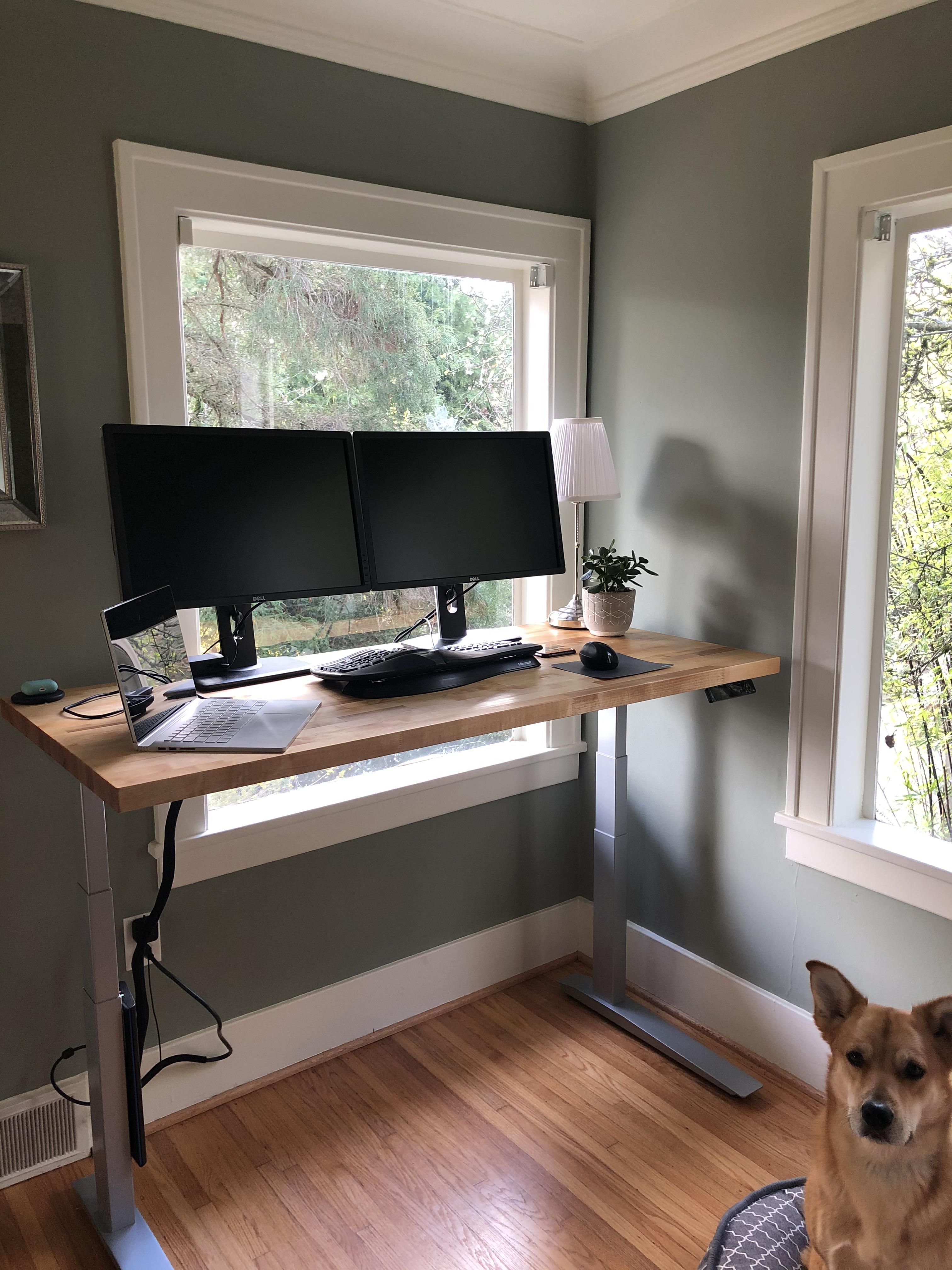 Finally finished my Green WFH Setup | Scrolller