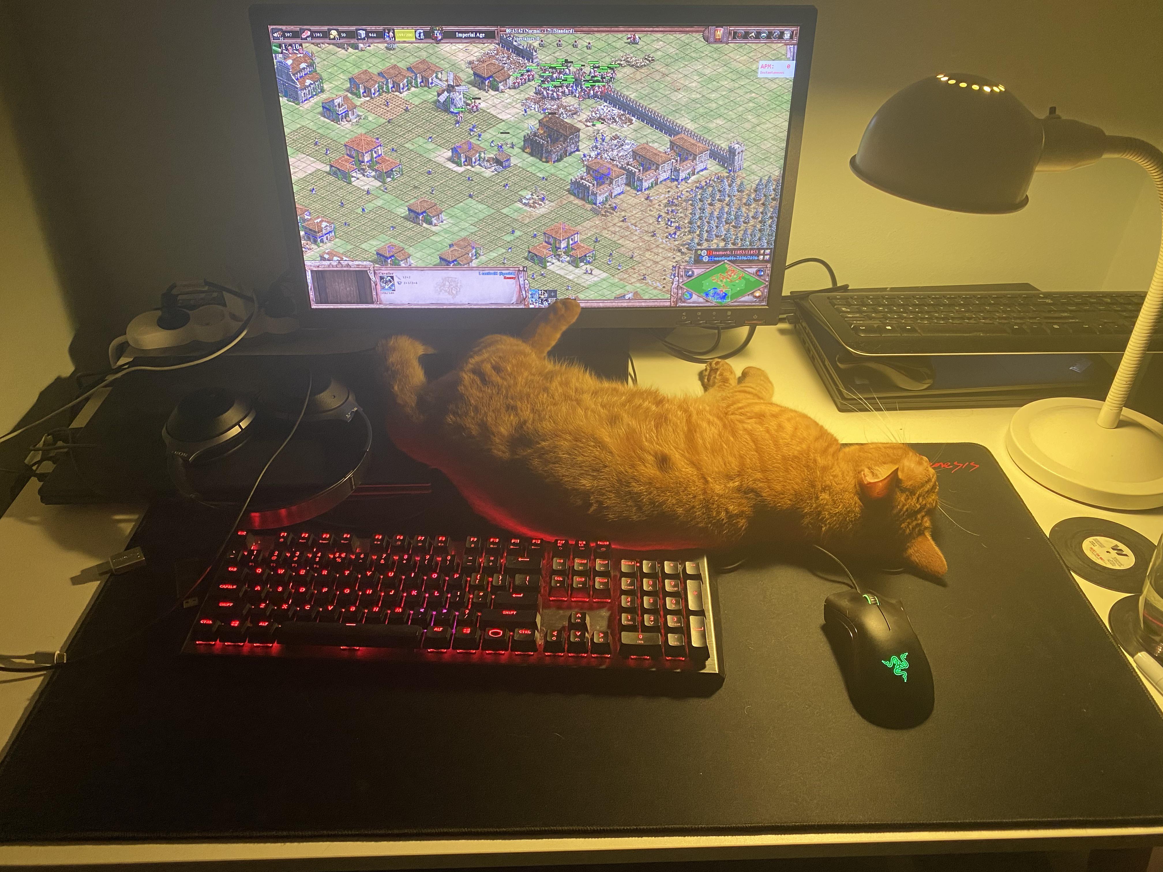 Finally my gaming setup is complete! | Scrolller