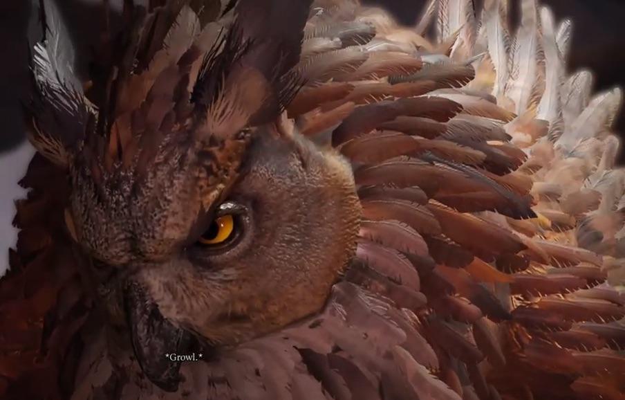 Finally, Owlbears | Scrolller