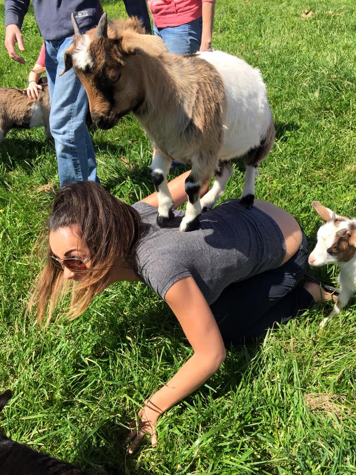 FINISH HER | Scrolller